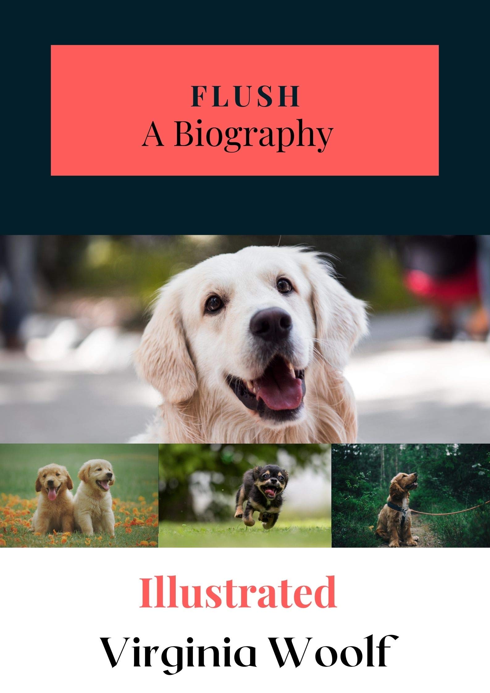 Flush A Biography Illustrated by Virginia Woolf | Goodreads