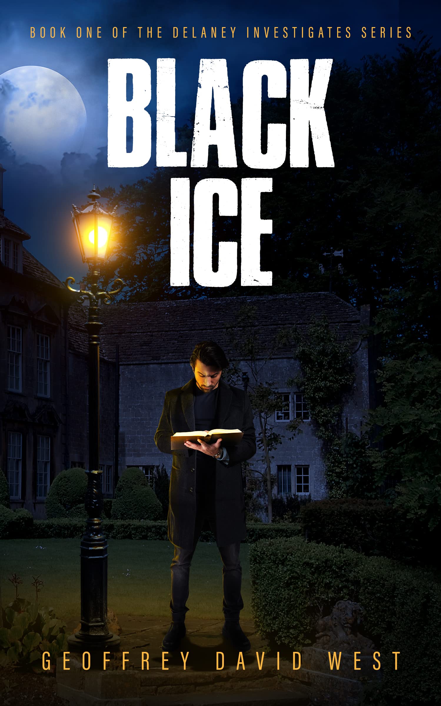 Black Ice (Sean Delaney Investigates series Book 1) by Geoffrey West ...