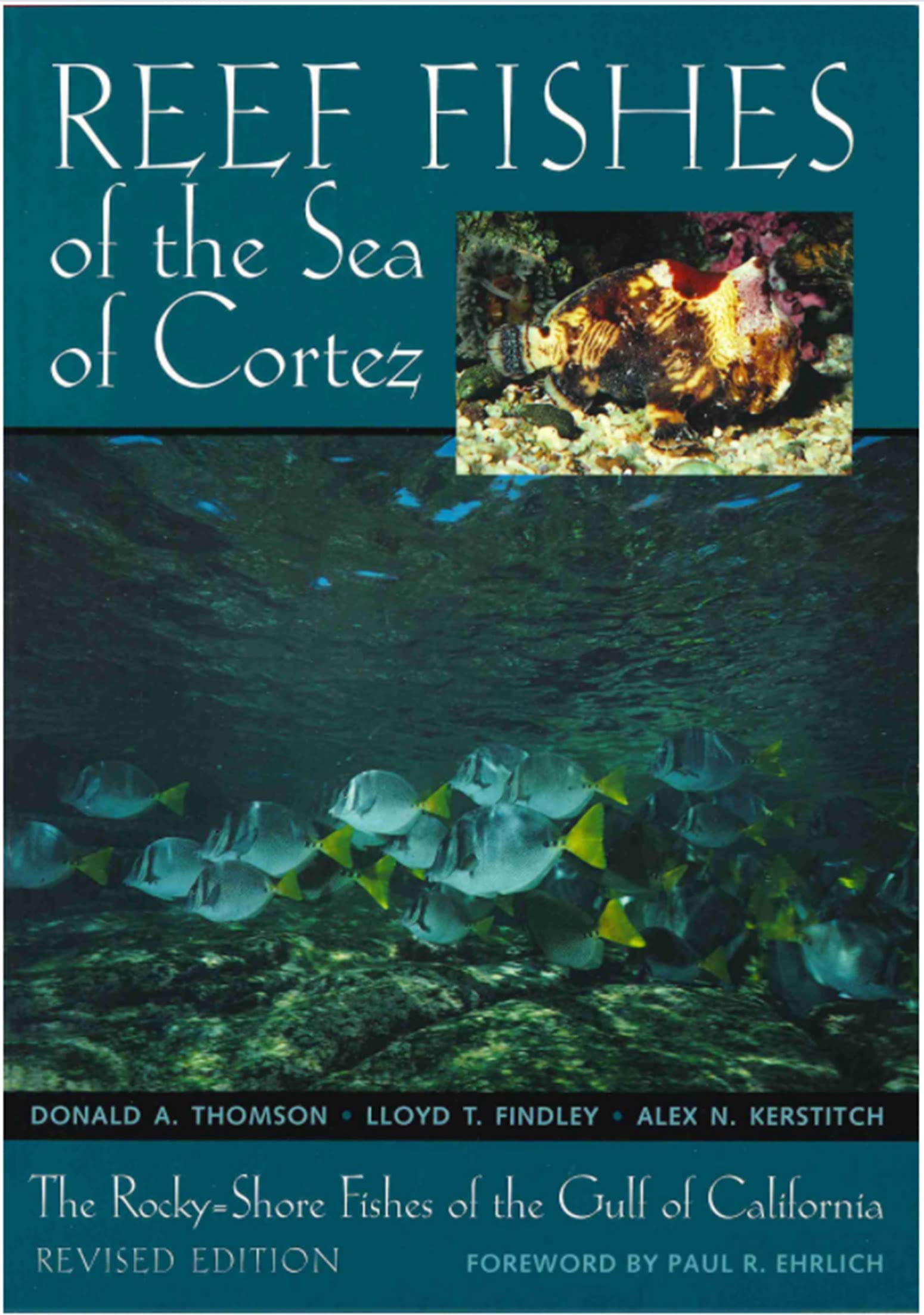 Reef fishes of the Sea of Cortez: the rocky-shore fishes of the Gulf of ...