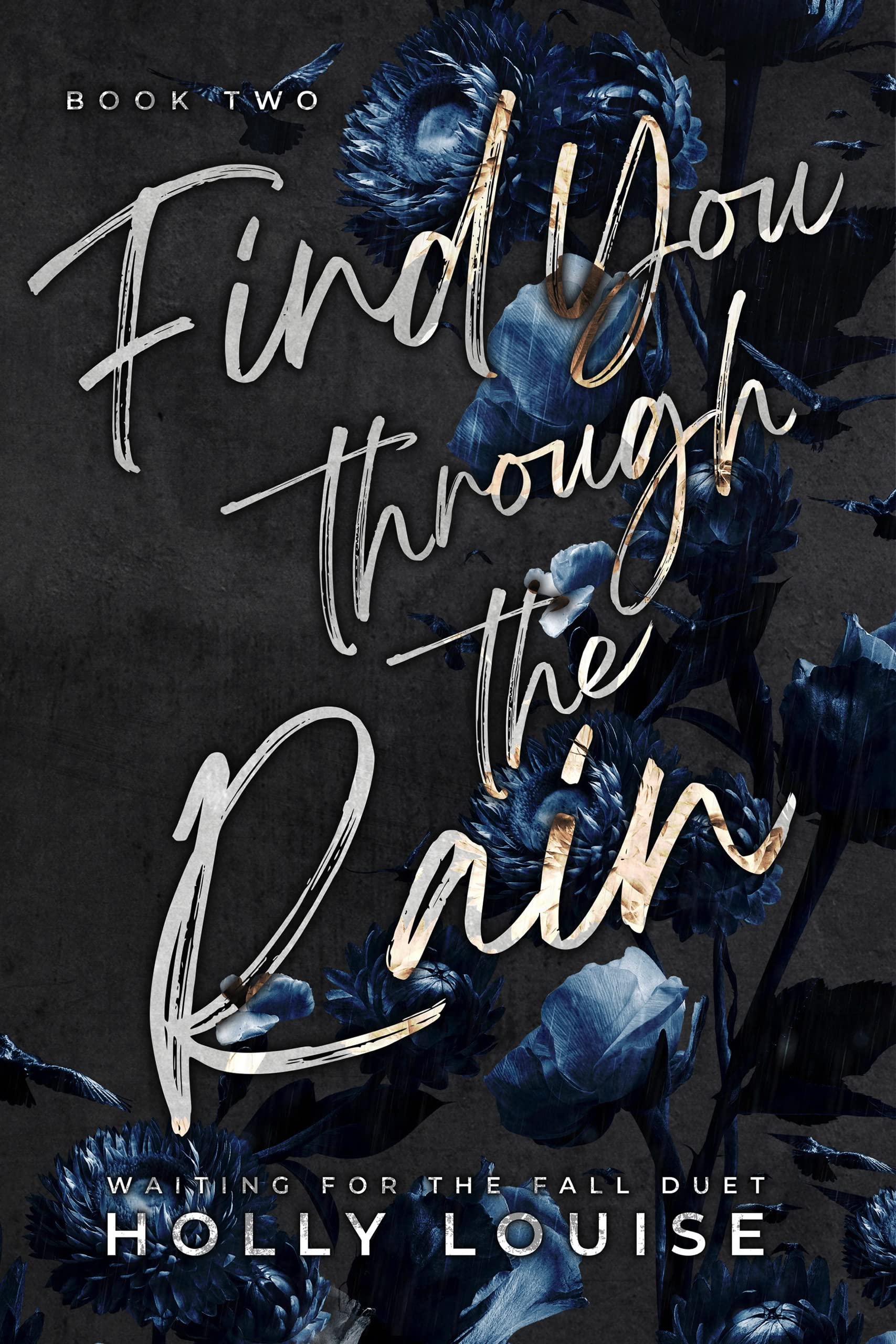 Find You Through The Rain by Holly Louise | Goodreads