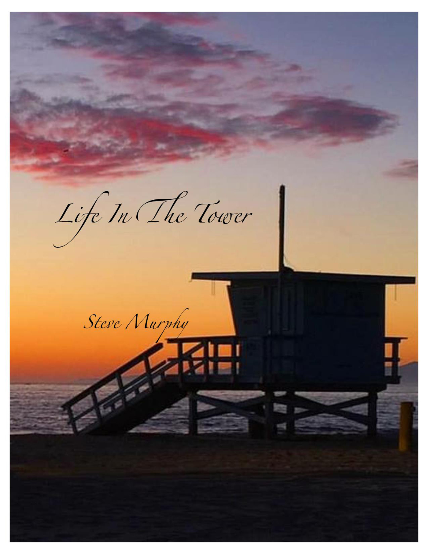 Life In The Tower by Steve Murphy | Goodreads
