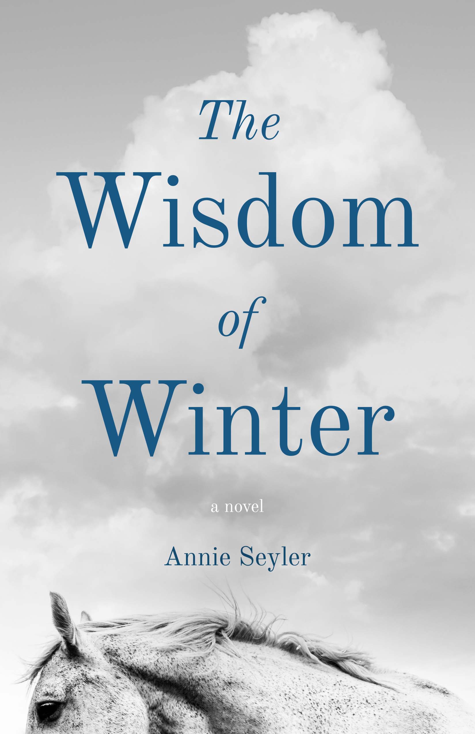The Wisdom of Winter by Annie Seyler | Goodreads