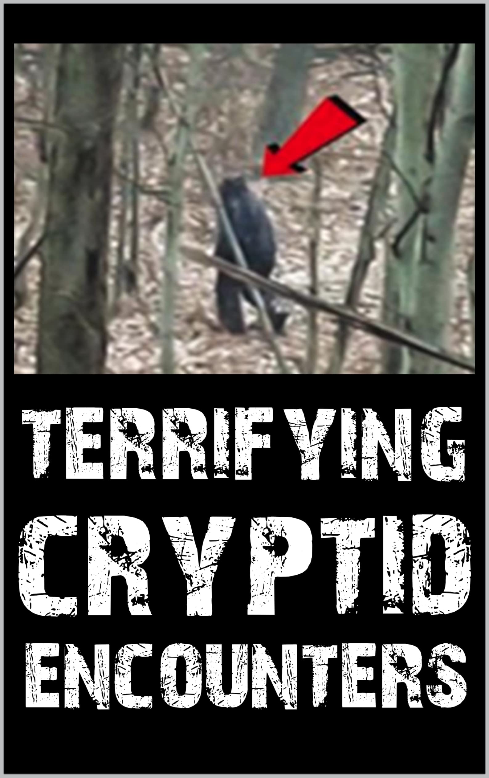 Terrifying Cryptid Encounters: Vol 5 by Draco Korvin | Goodreads