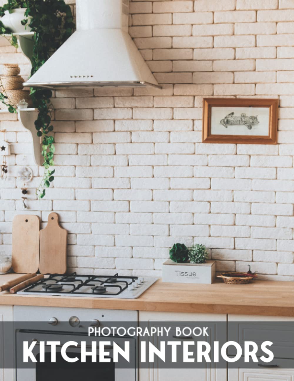 Kitchen Interiors Photography Book: High-Resolution Photos Of Kitchen ...