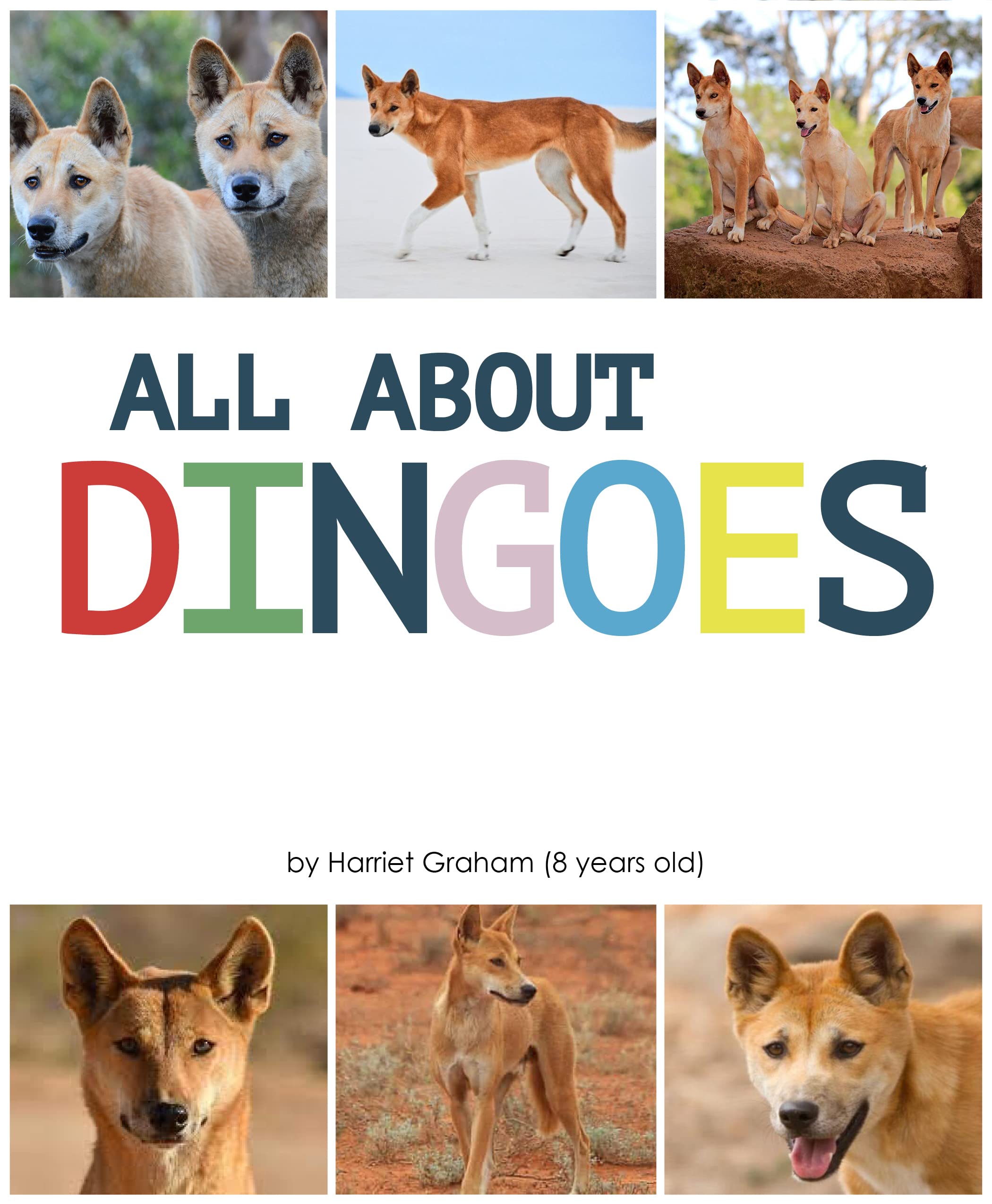 All About Dingoes by Harriet Graham (8 years old) | Goodreads