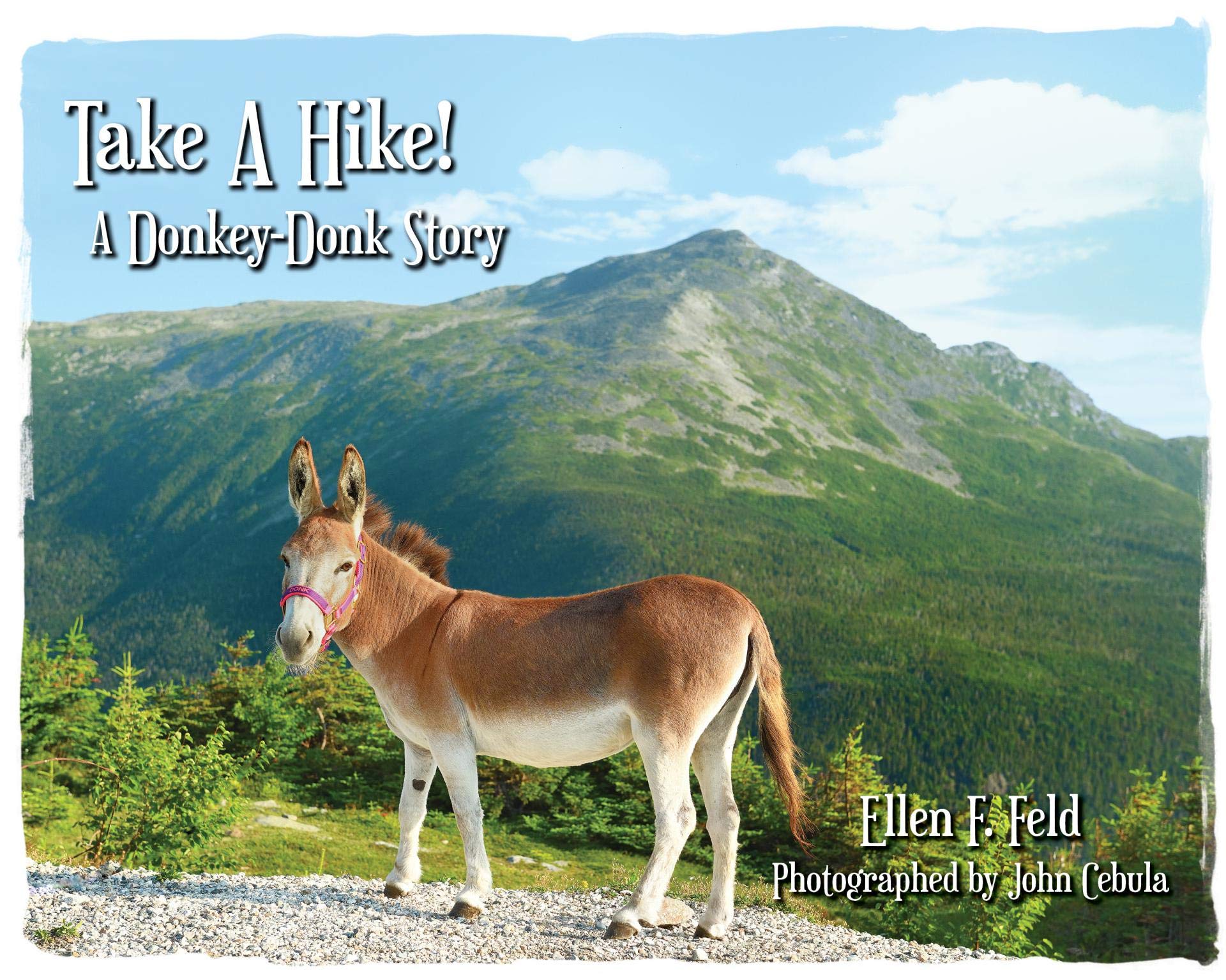 Take A Hike!: A Donkey-Donk Story by Ellen F. Feld | Goodreads