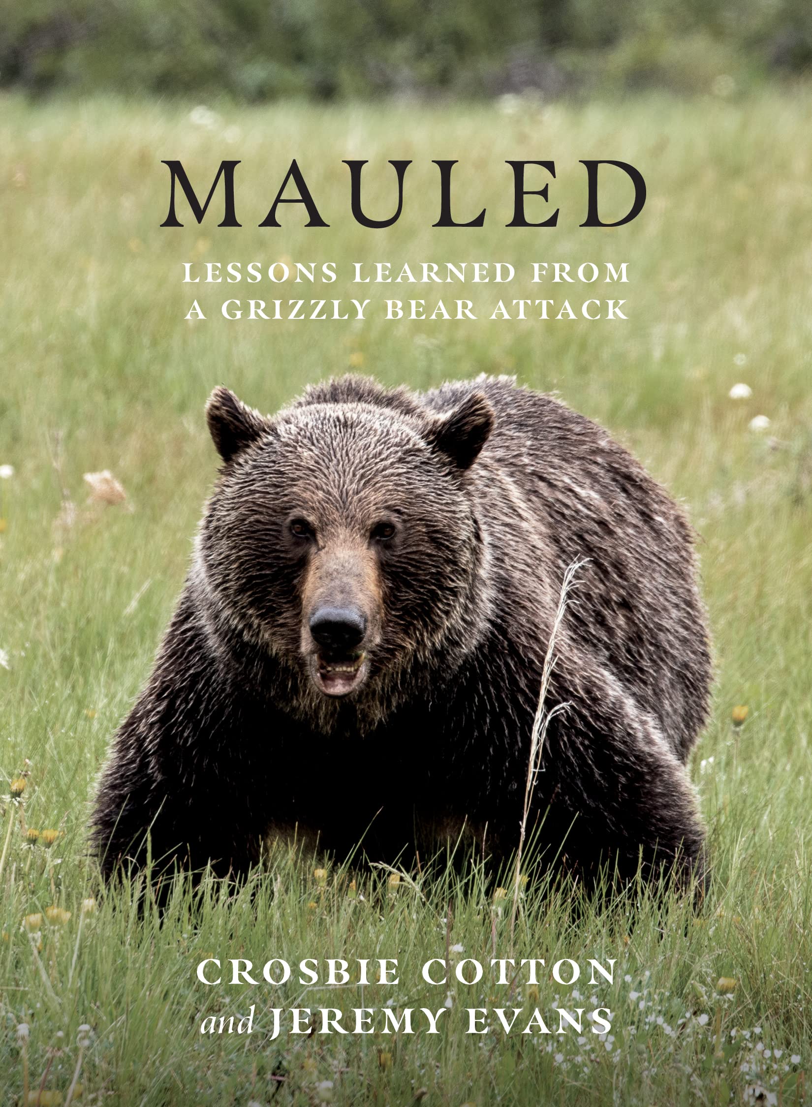 Mauled: Lessons Learned from a Grizzly Bear Attack by Crosbie Cotton ...