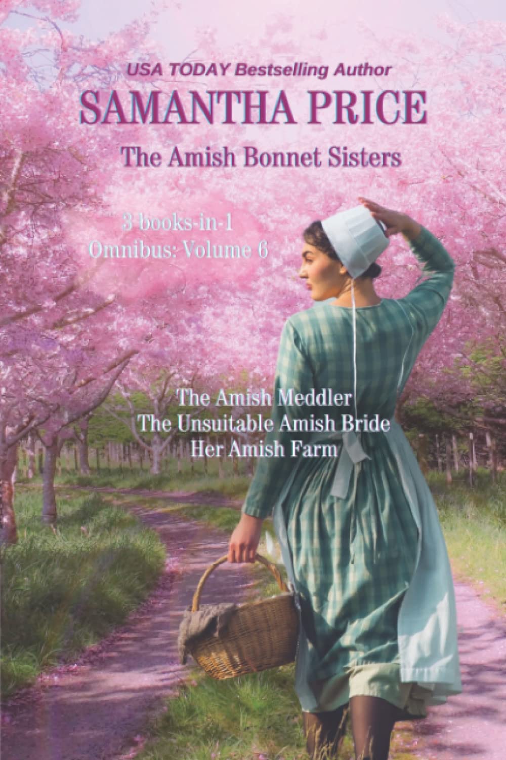 The Amish Bonnet Sisters 3 books-in-1 (Volume 6): The Amish Meddler ...