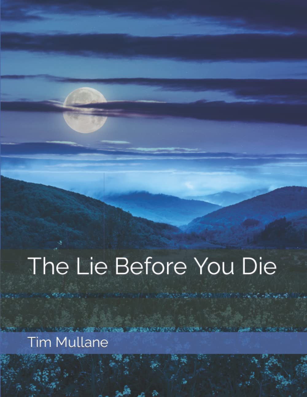 The Lie Before You Die by Tim Mullane | Goodreads