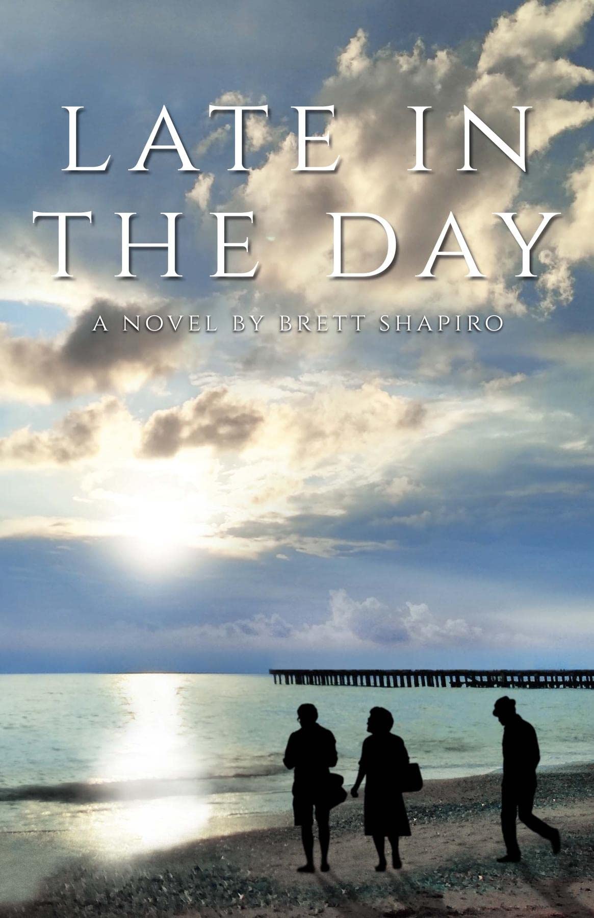 Late in the Day by Brett Shapiro | Goodreads