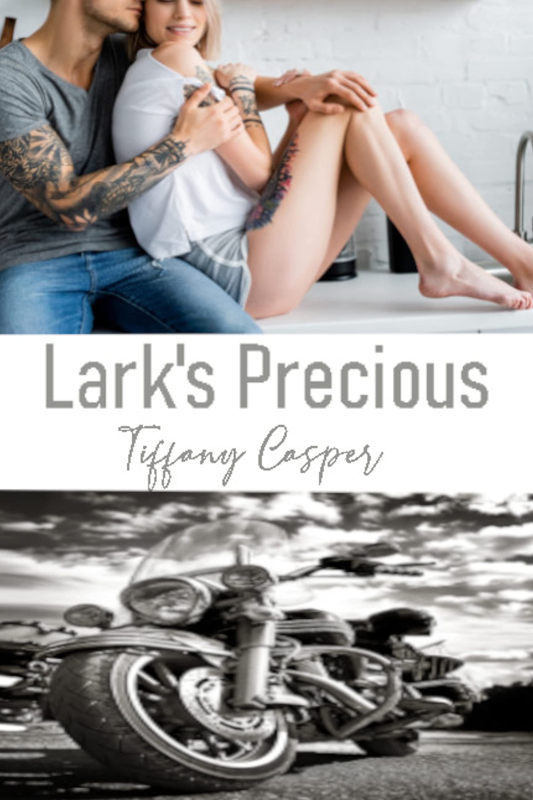 Lark's Precious (Dogwoods Treasure, #7) by Tiffany Casper | Goodreads