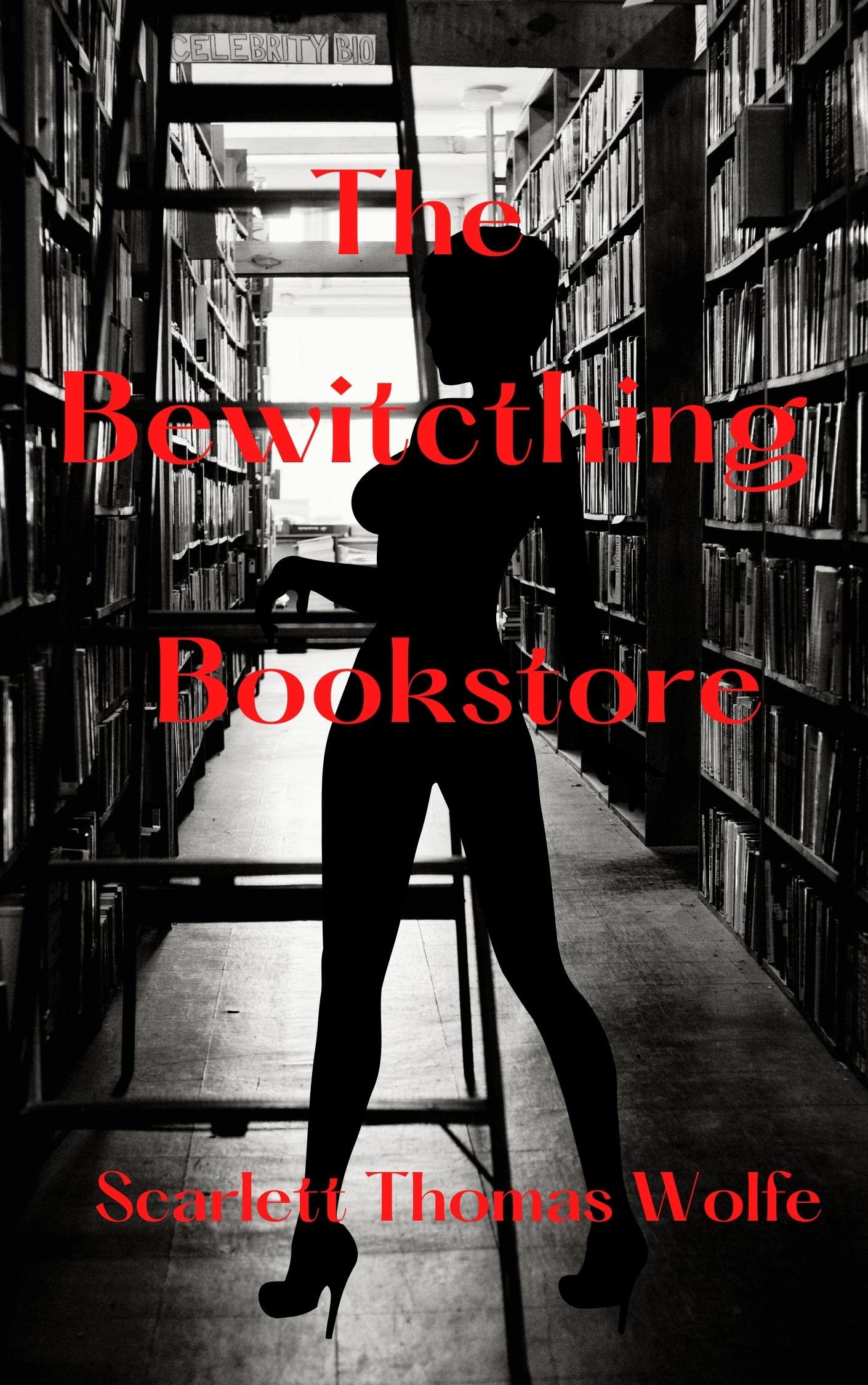 The Bewitching Bookstore by Scarlet Thomas Wolfe | Goodreads