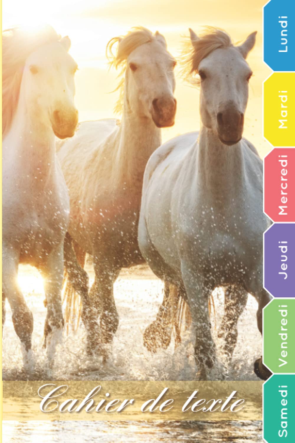 Cahier de texte Cheval: Cahier de texte 2021 2022 Cheval Livre pour ...