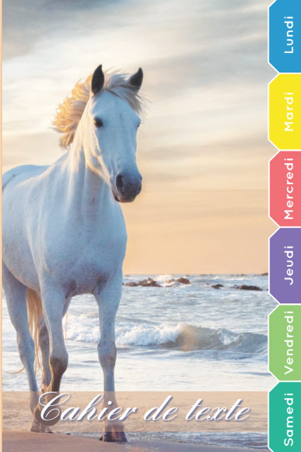 Cahier de texte Cheval: Cahier de texte 2021 2022 Cheval Livre pour ...