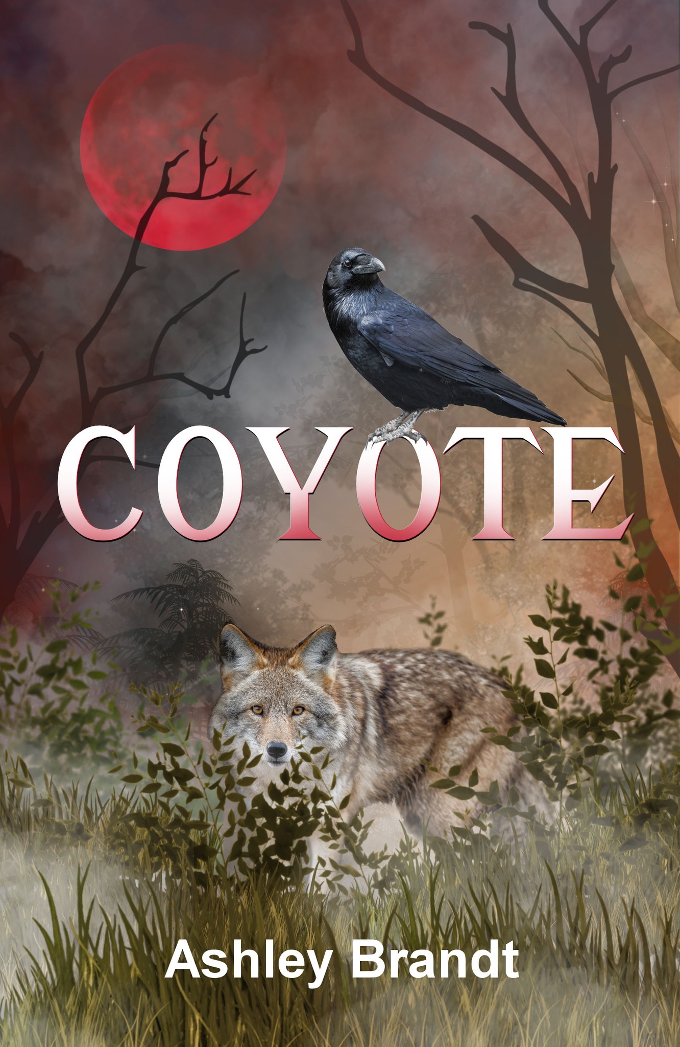 Coyote by Ashley Brandt | Goodreads