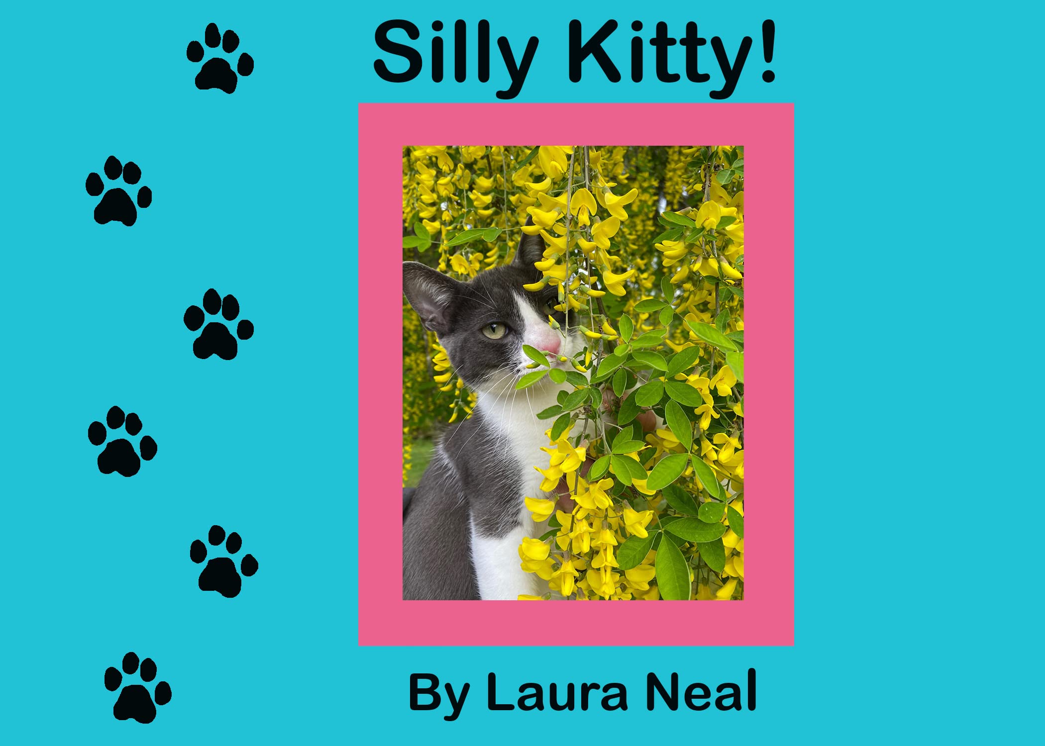 Silly Kitty! by Laura Neal | Goodreads