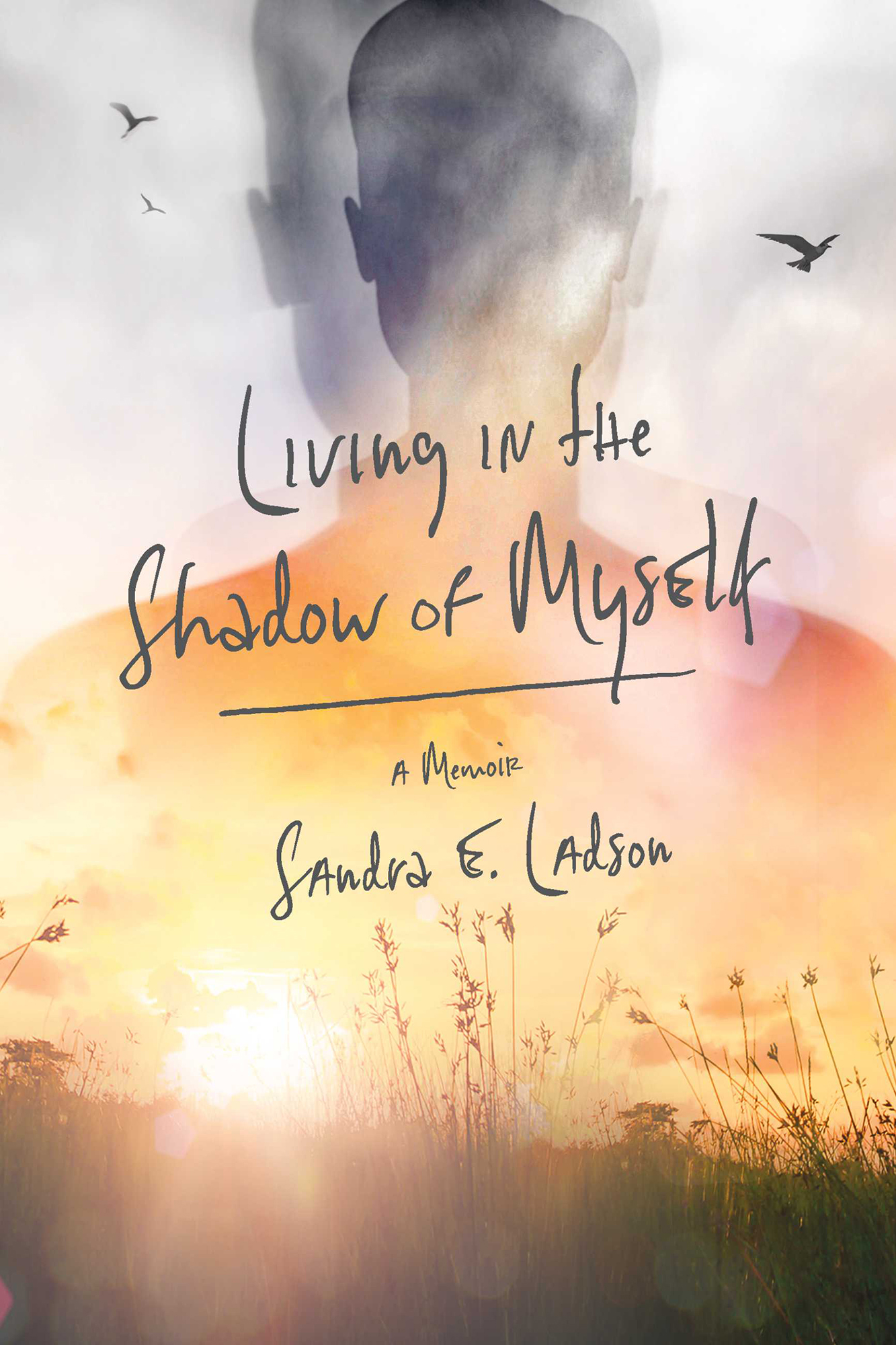 Living In the Shadow of Myself by Sandra E. Ladson | Goodreads