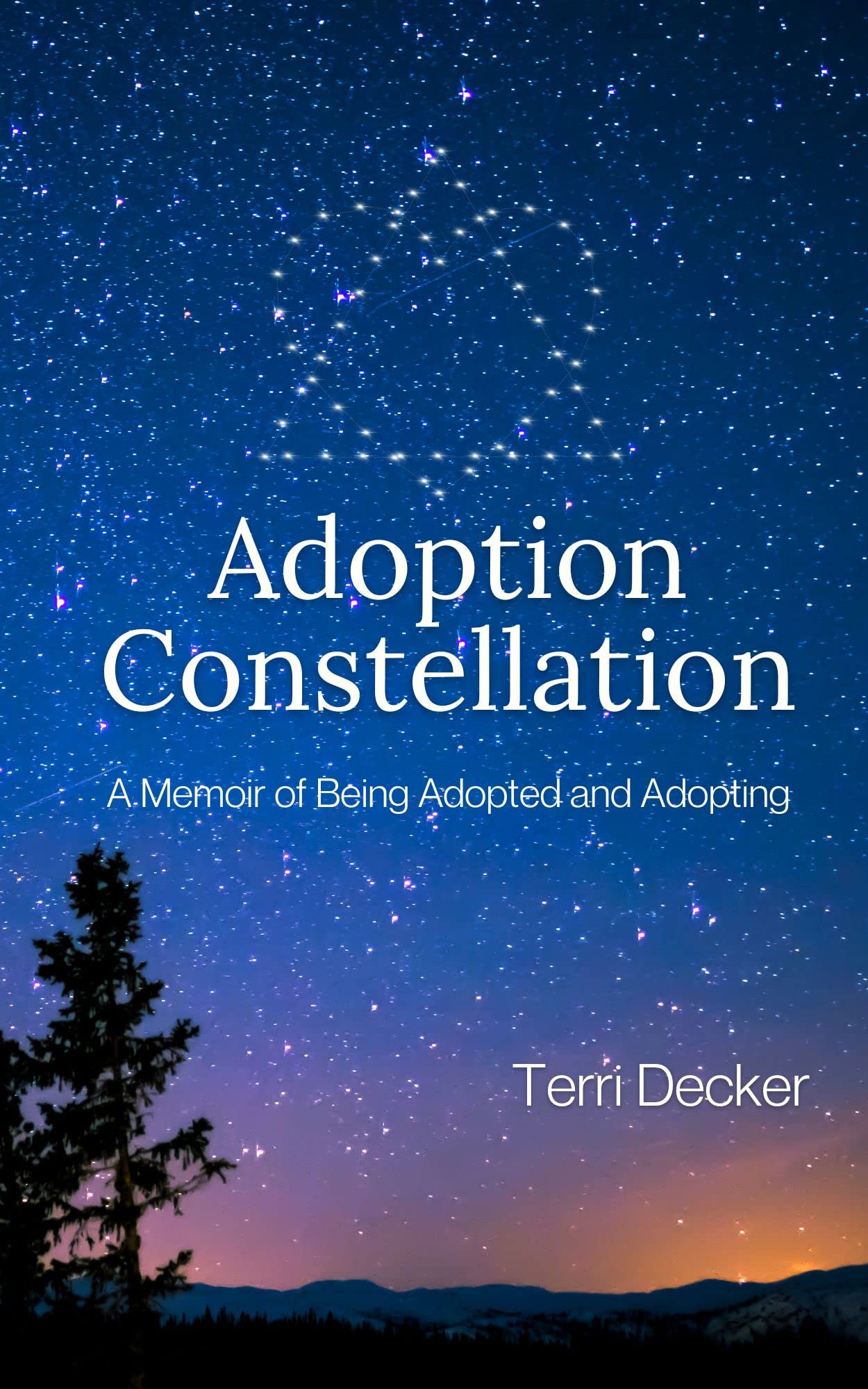 Adoption Constellation: A Memoir of Being Adopted and Adopting by Terri ...