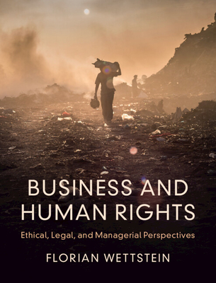 Business and Human Rights: Ethical, Legal, and Managerial Perspectives ...