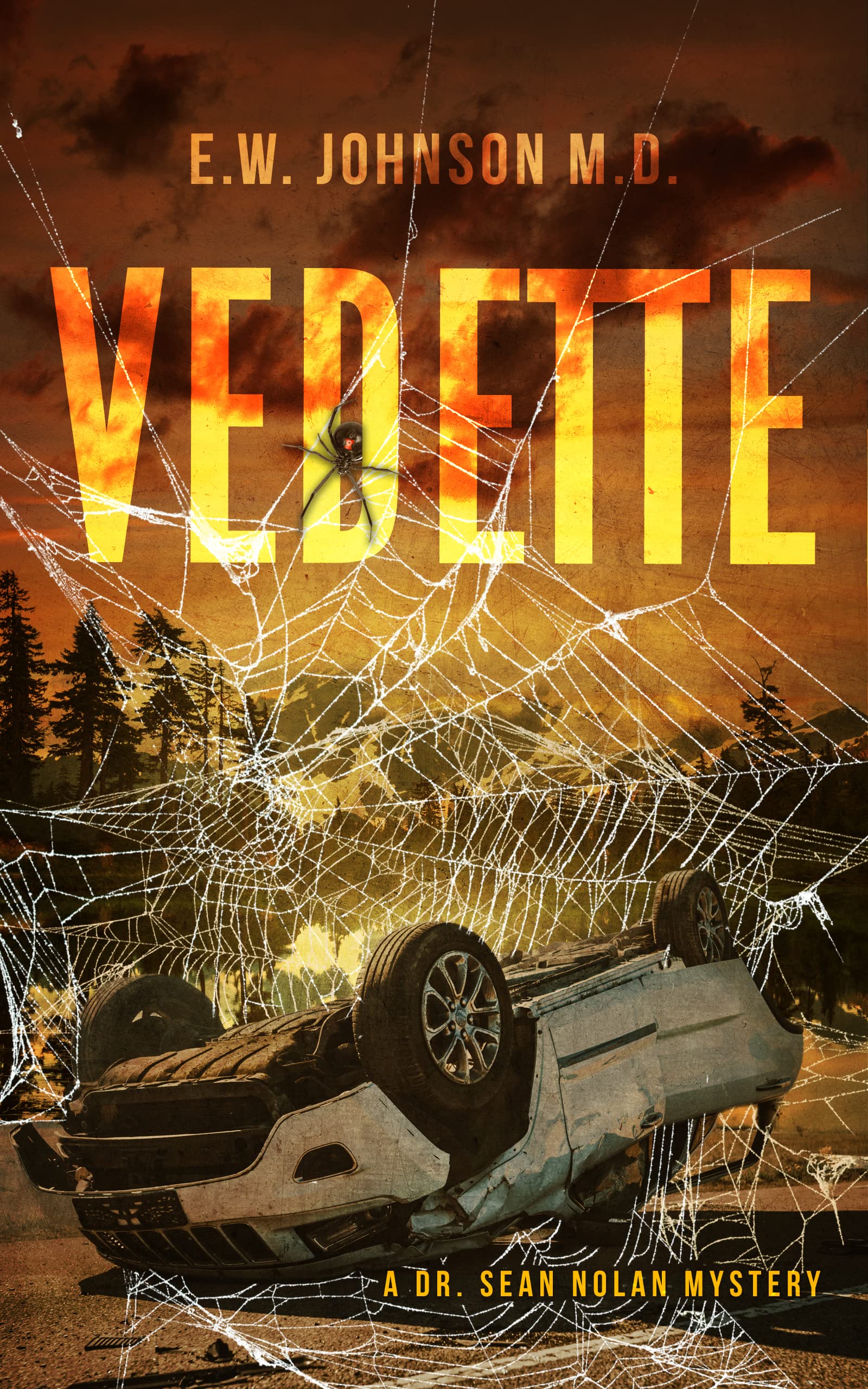 Vedette: A Dr. Sean Nolan Mystery by E.W. Johnson M.D. | Goodreads