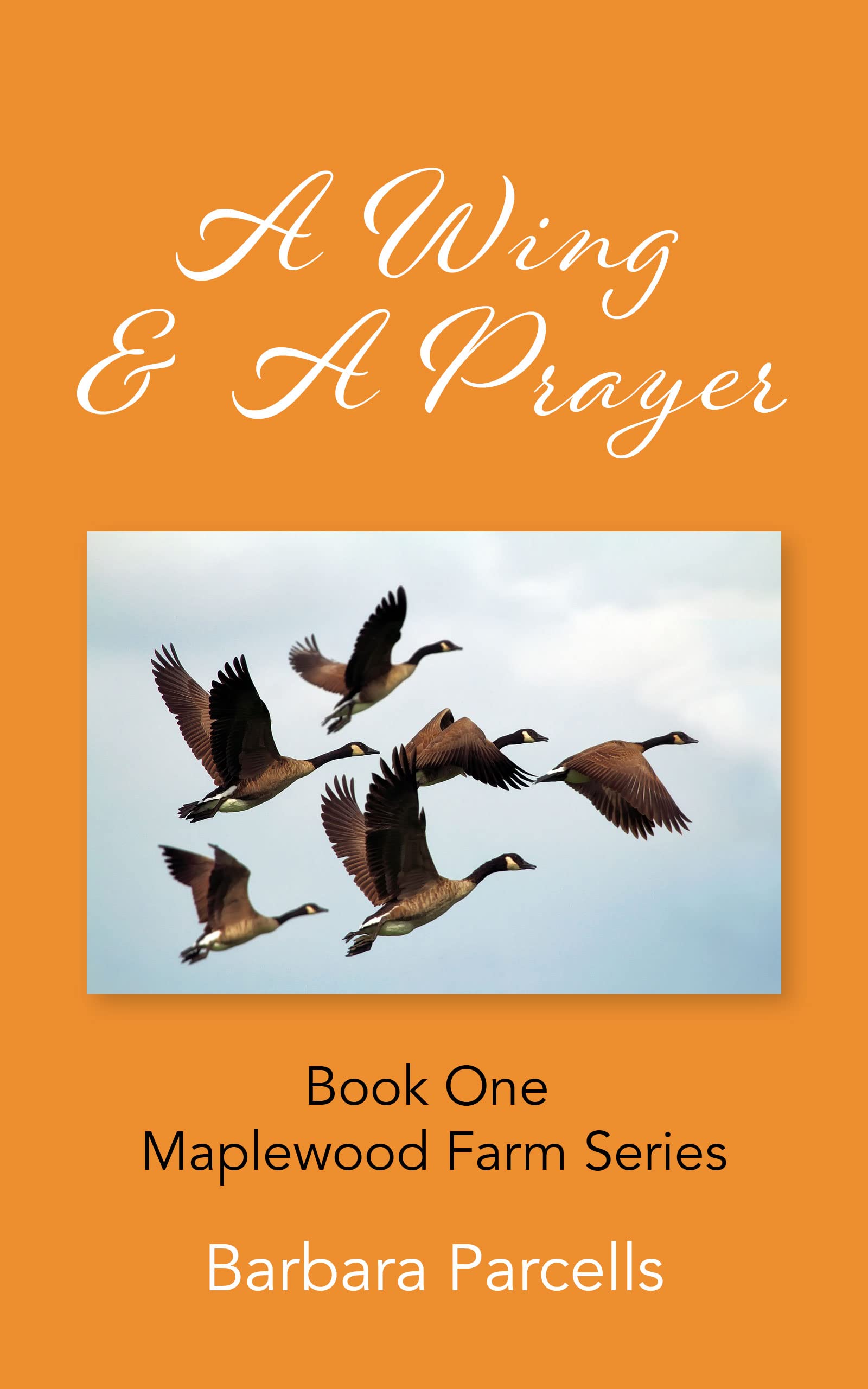 A Wing And A Prayer: Book One in The Maplewood Farm Series by Barbara ...