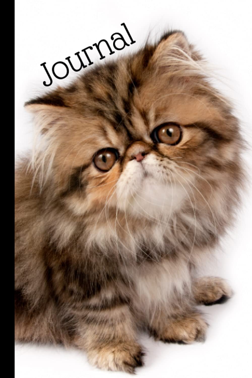 Journal: A Brown Tabby Persian Kitten Journal and Lined Notebook or ...