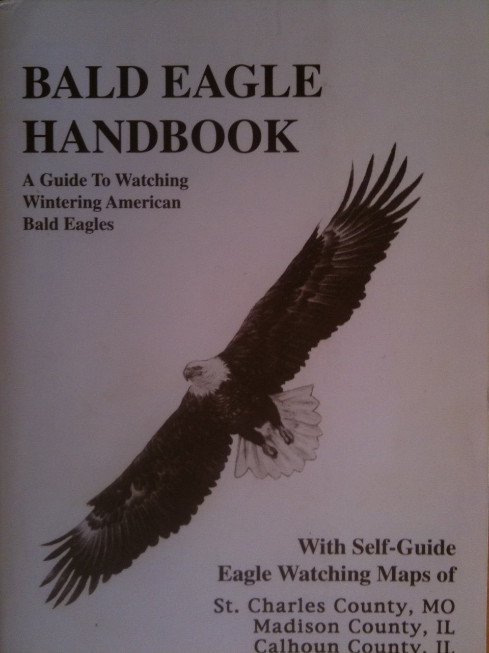 Bald Eagle Handbook: A Guide to Watching Wintering American Bald Eagles ...
