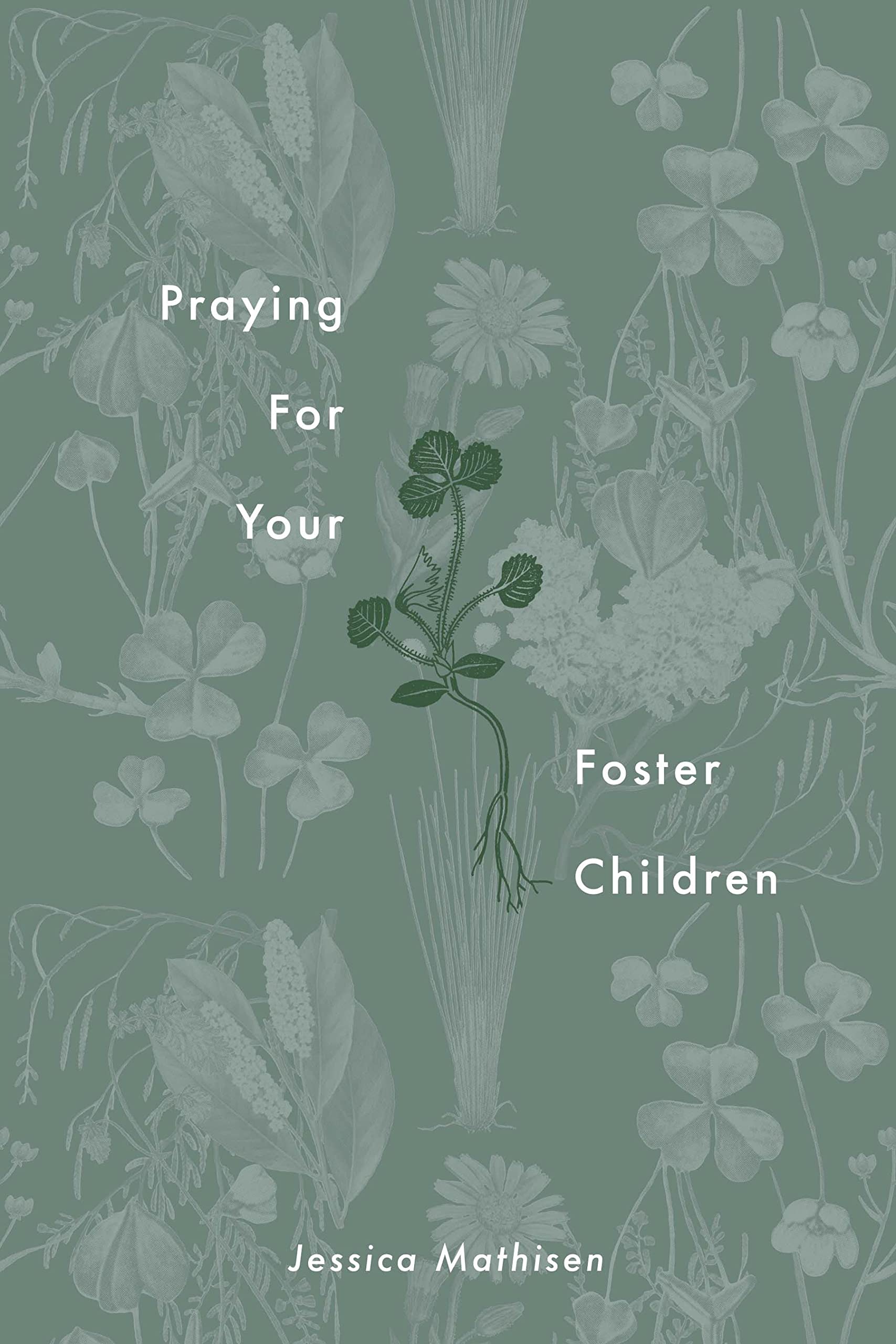 Praying for Your Foster Children: A 30 Day Guide by Jessica Mathisen ...