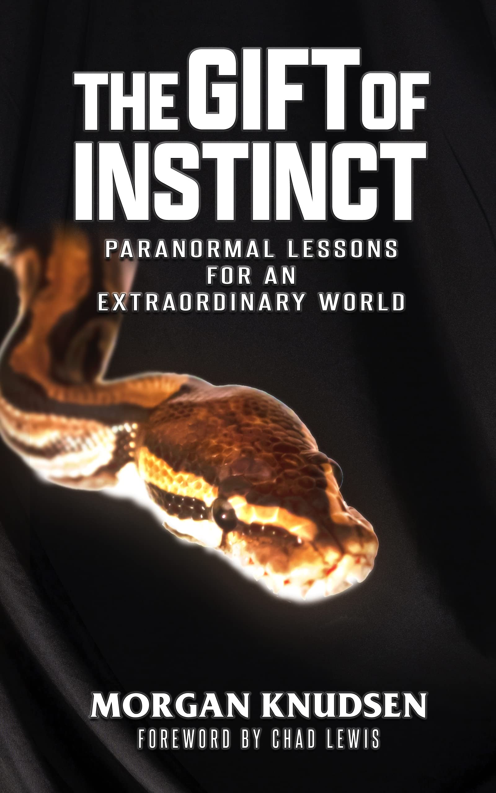 The Gift of Instinct: Paranormal Lessons for an Extraordinary World by ...