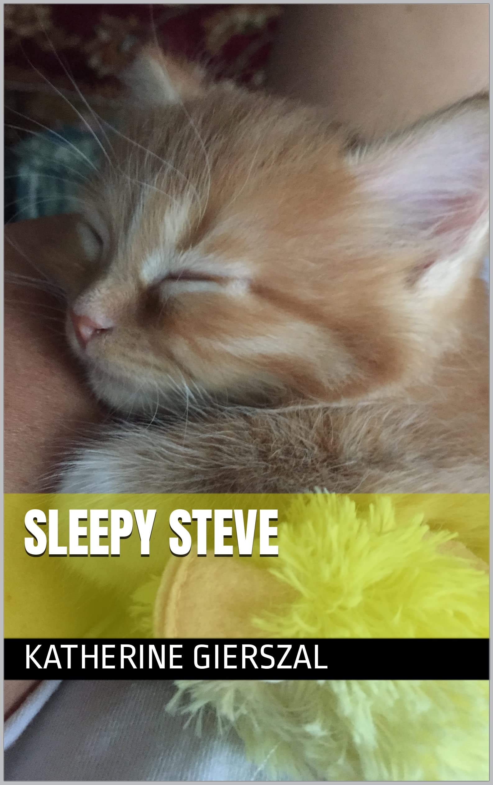 Sleepy Steve by Katherine Gierszal | Goodreads