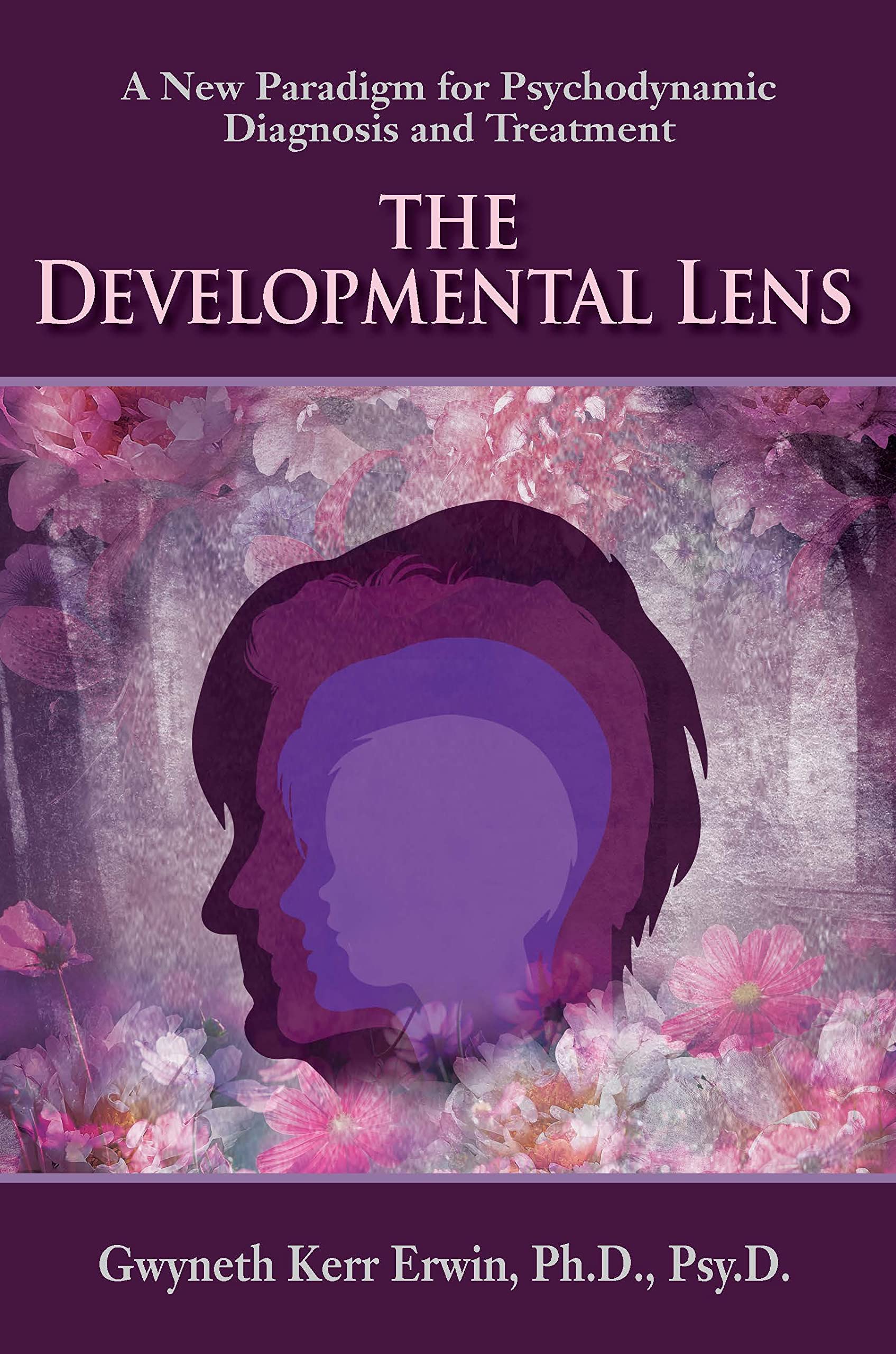 The Developmental Lens: A New Paradigm for Psychodynamic Diagnosis and ...