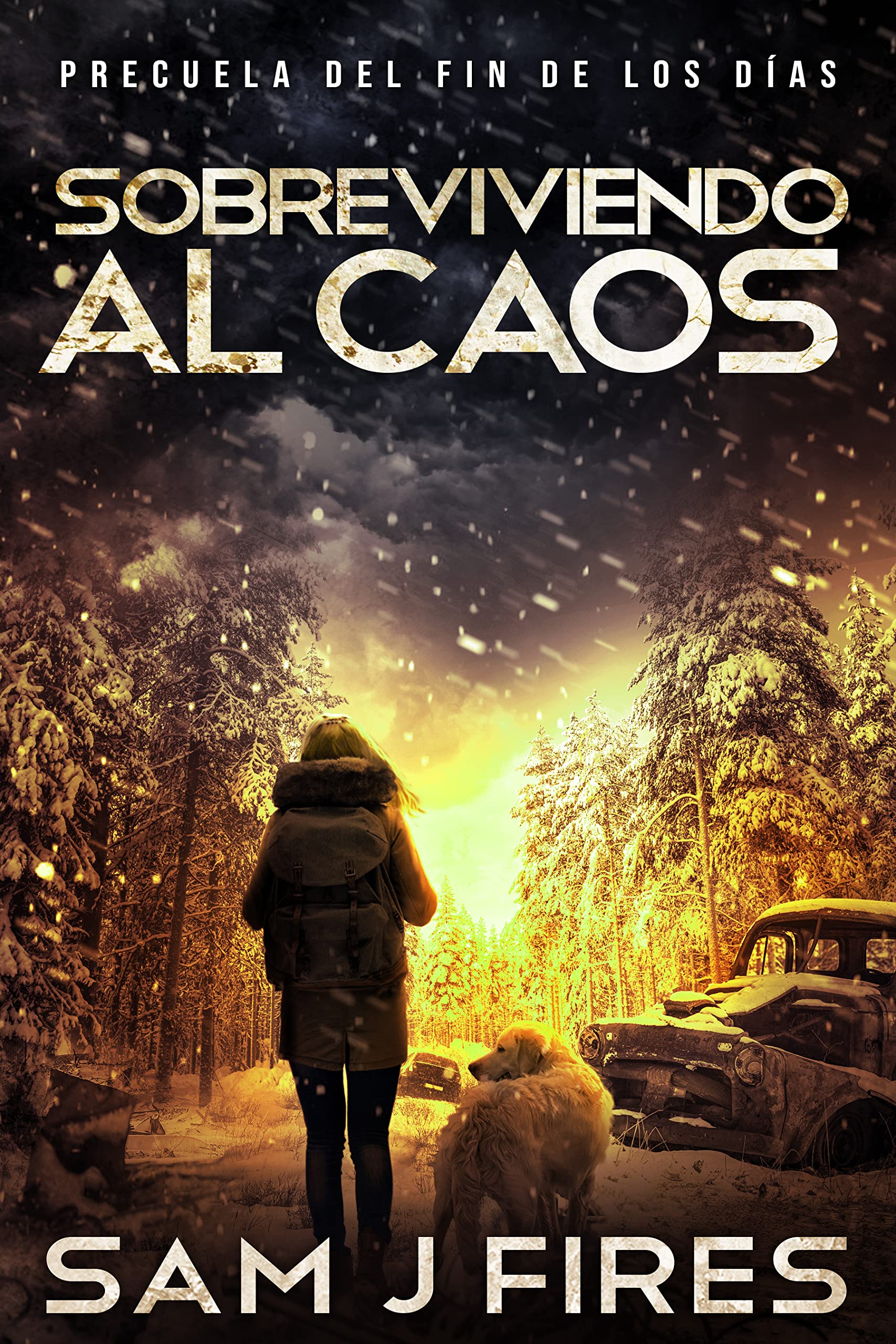 Sobreviviendo al Caos: Un thriller de supervivencia EMP ...