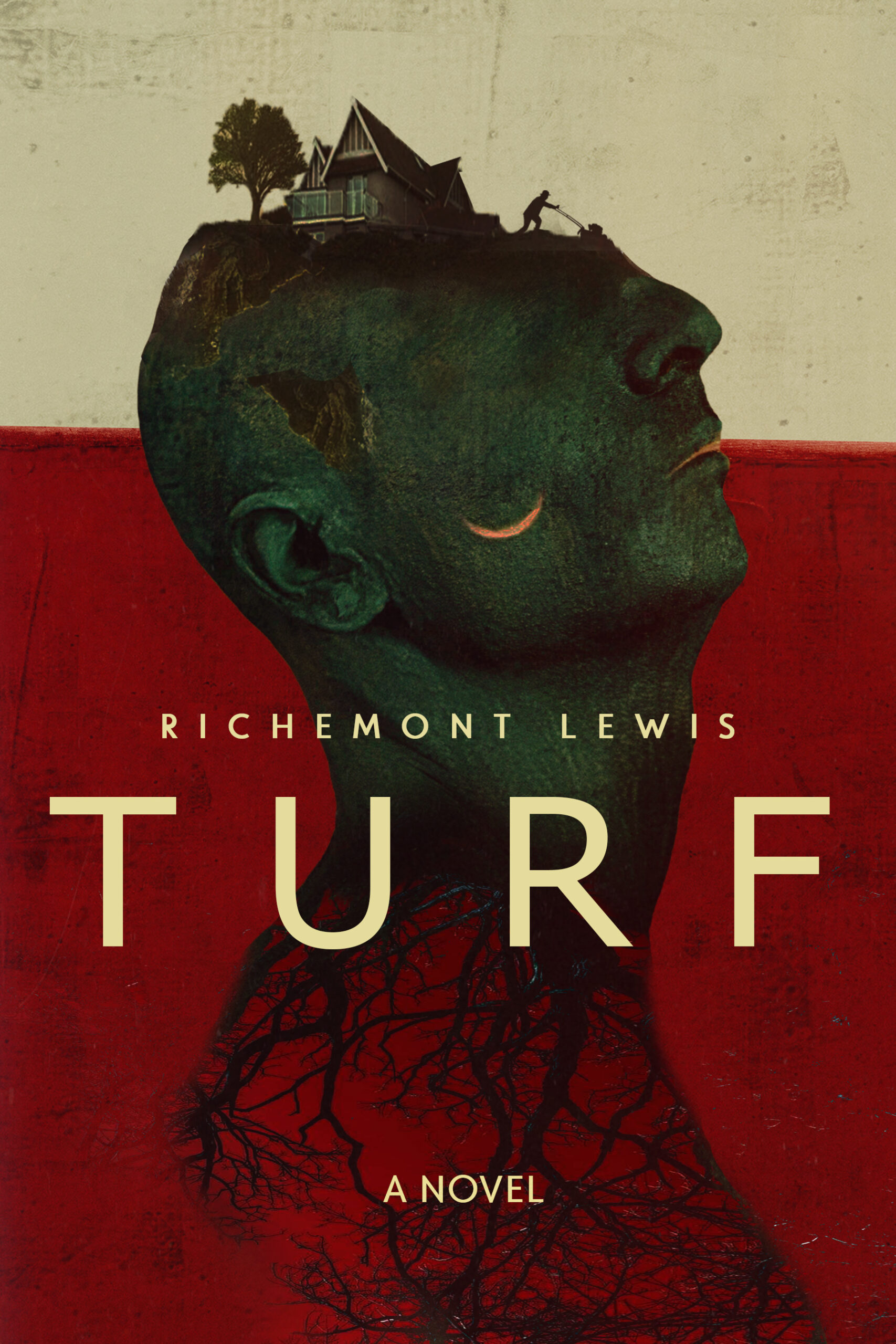 Turf by Richemont Lewis | Goodreads