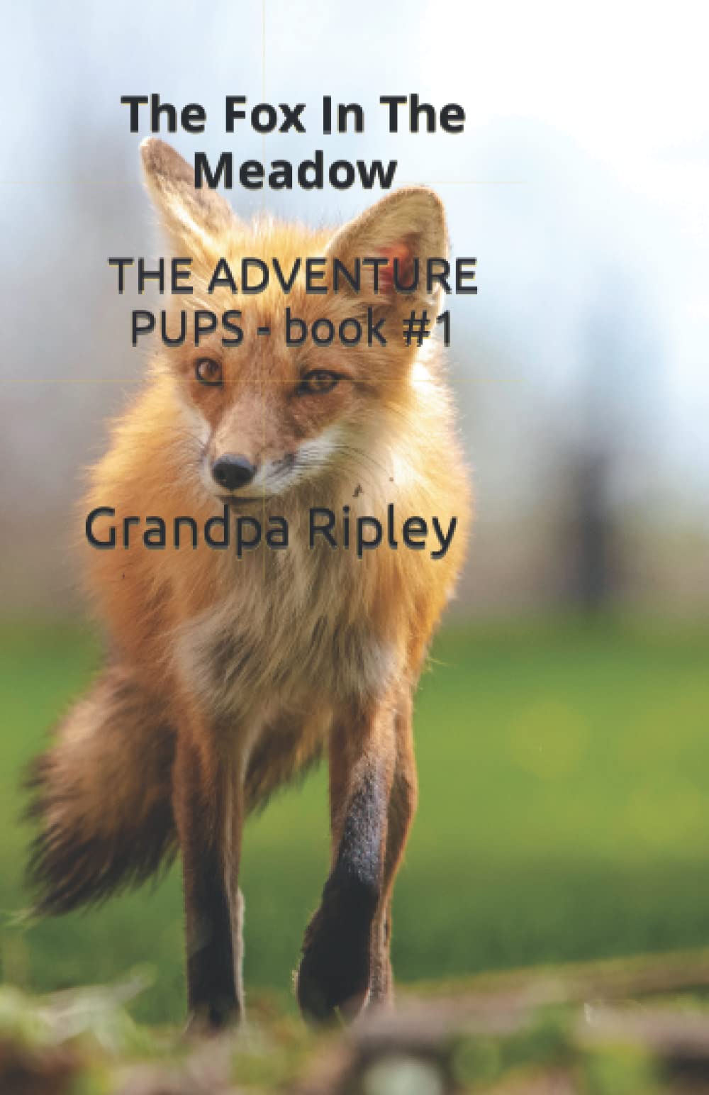 THE FOX IN THE MEADOW: The Adventure Pups Book #1 by Grandpa Ripley ...