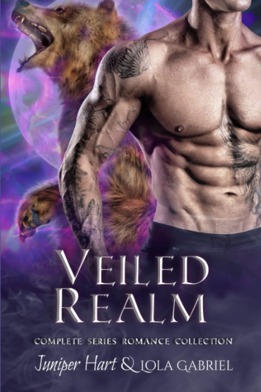 Veiled Realm: Complete Series Romance Collection by Juniper Hart ...