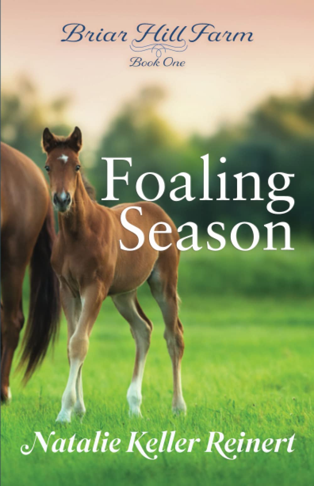 Foaling Season (Briar Hill Farm) by Natalie Keller Reinert | Goodreads