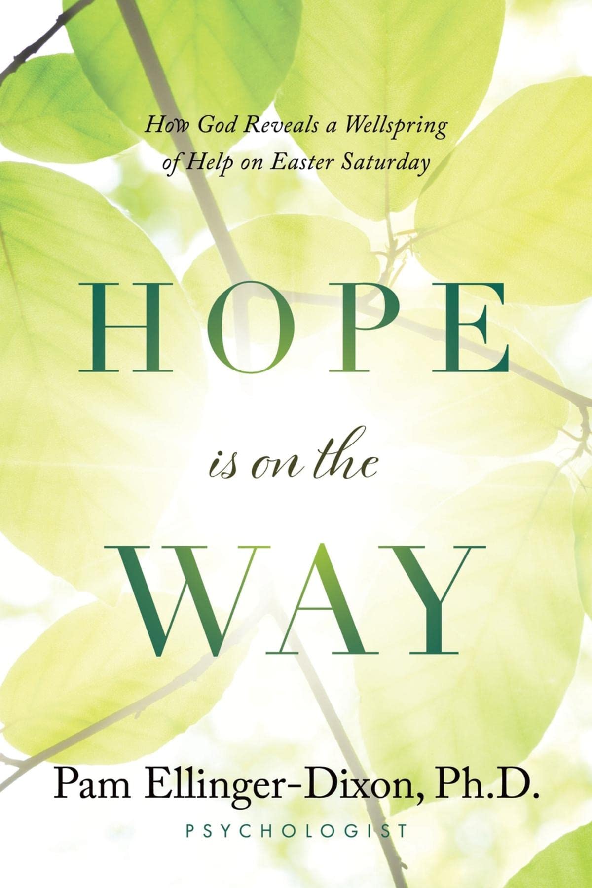 Hope Is On The Way: How God Reveals a Wellspring of Help on Easter ...