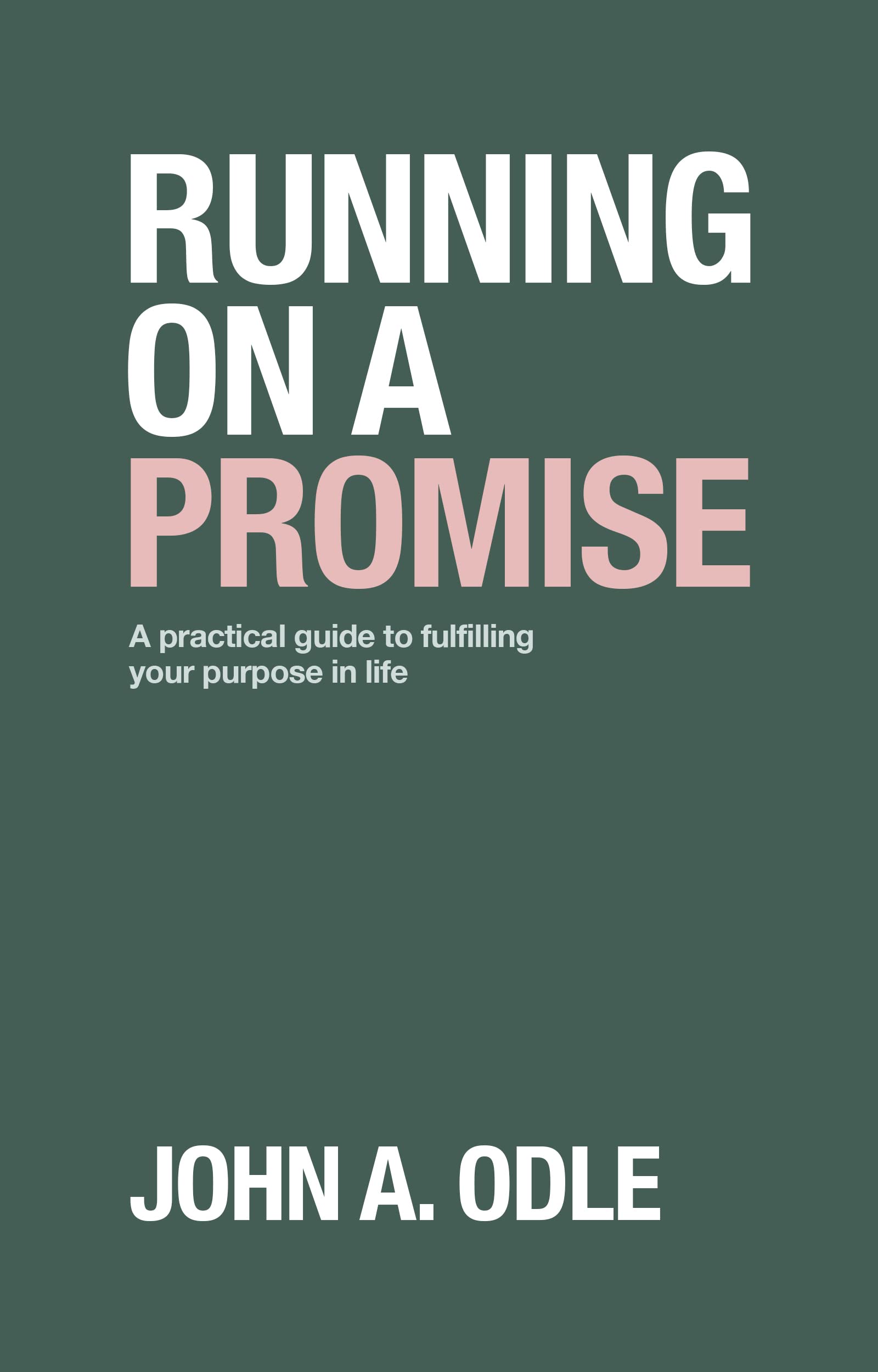 Running on a Promise: A practical guide to fulfilling your purpose in ...