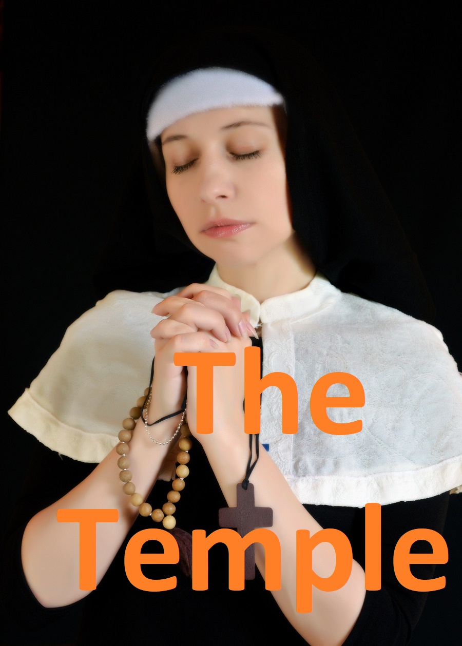 The Temple by Nikki Leech | Goodreads