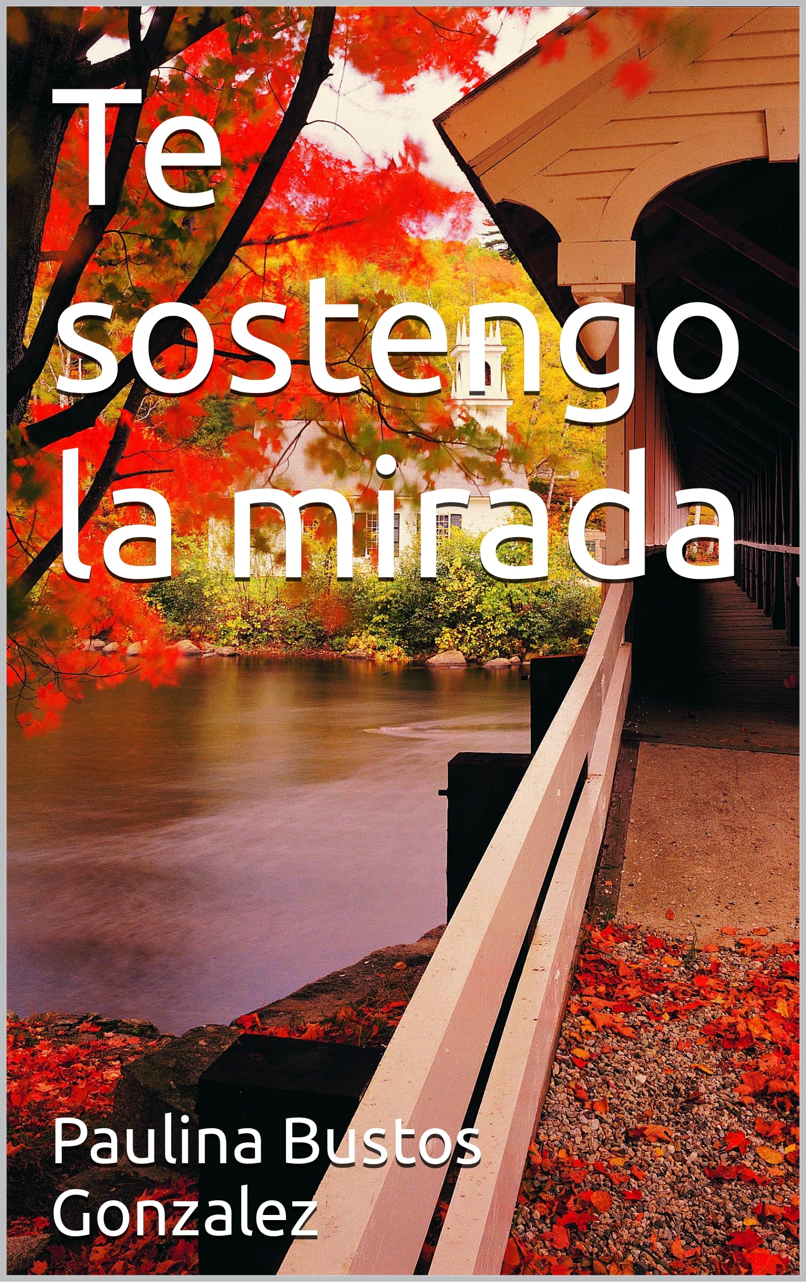 Te sostengo la mirada (Spanish Edition) by Paulina Bustos Gonzalez ...