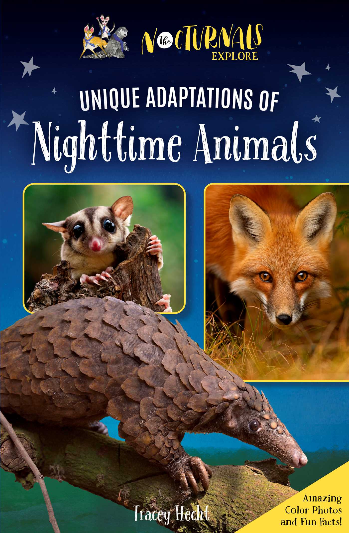 The Nocturnals Explore Unique Adaptations of Nighttime Animals ...