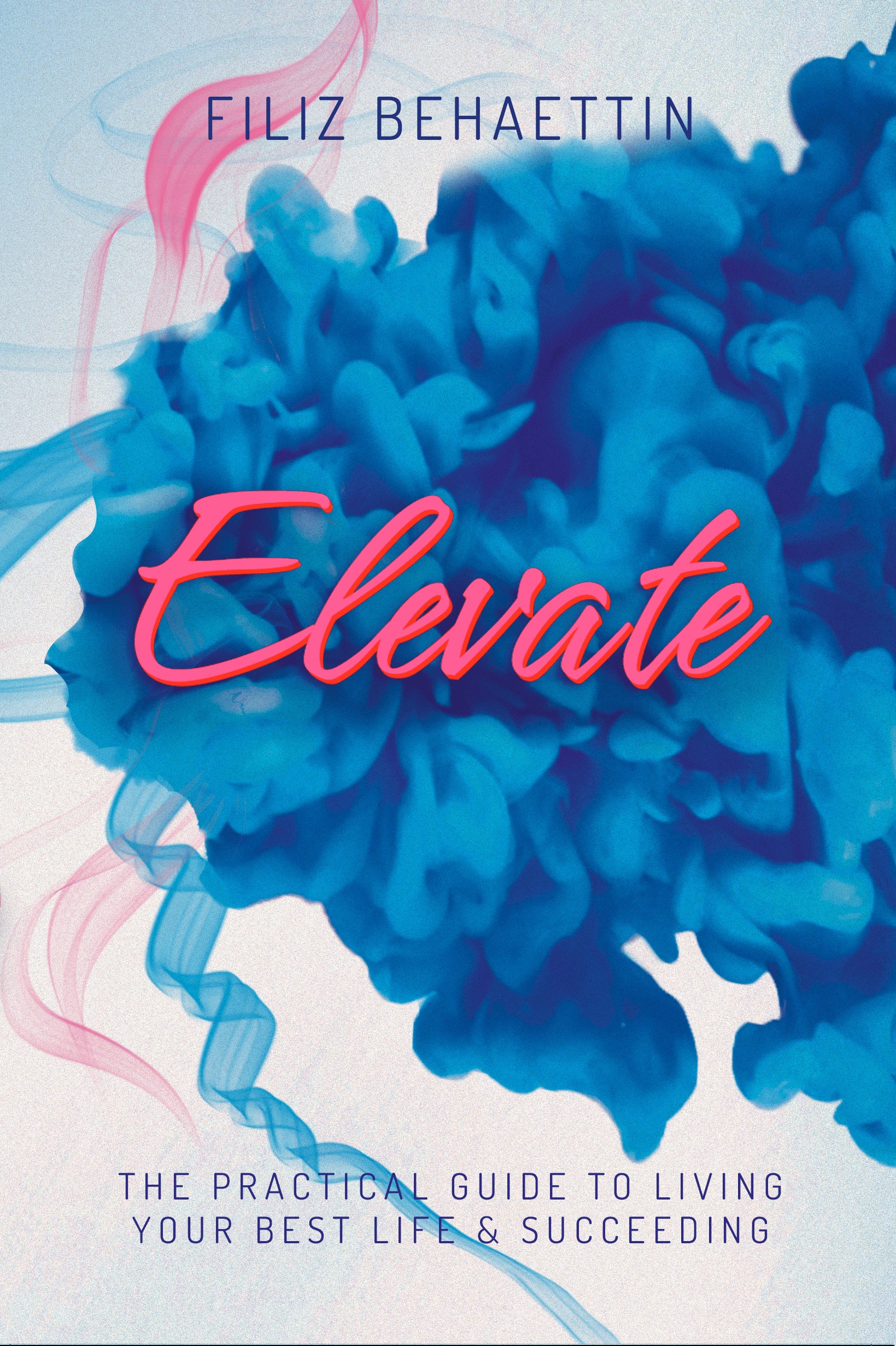Elevate: The Practical Guide to Living Your Best Life & Succeeding by ...