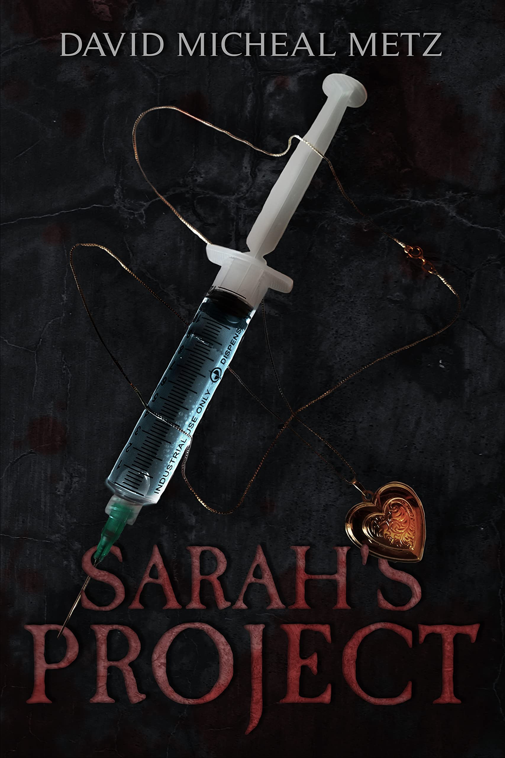 Sarah's Project by David Micheal Metz | Goodreads