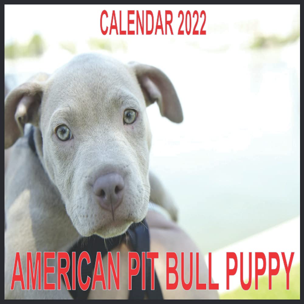 AMERICAN PIT BULL PUPPY CALENDAR 2022: THE ORIGINAL AMERICAN PIT BULL ...