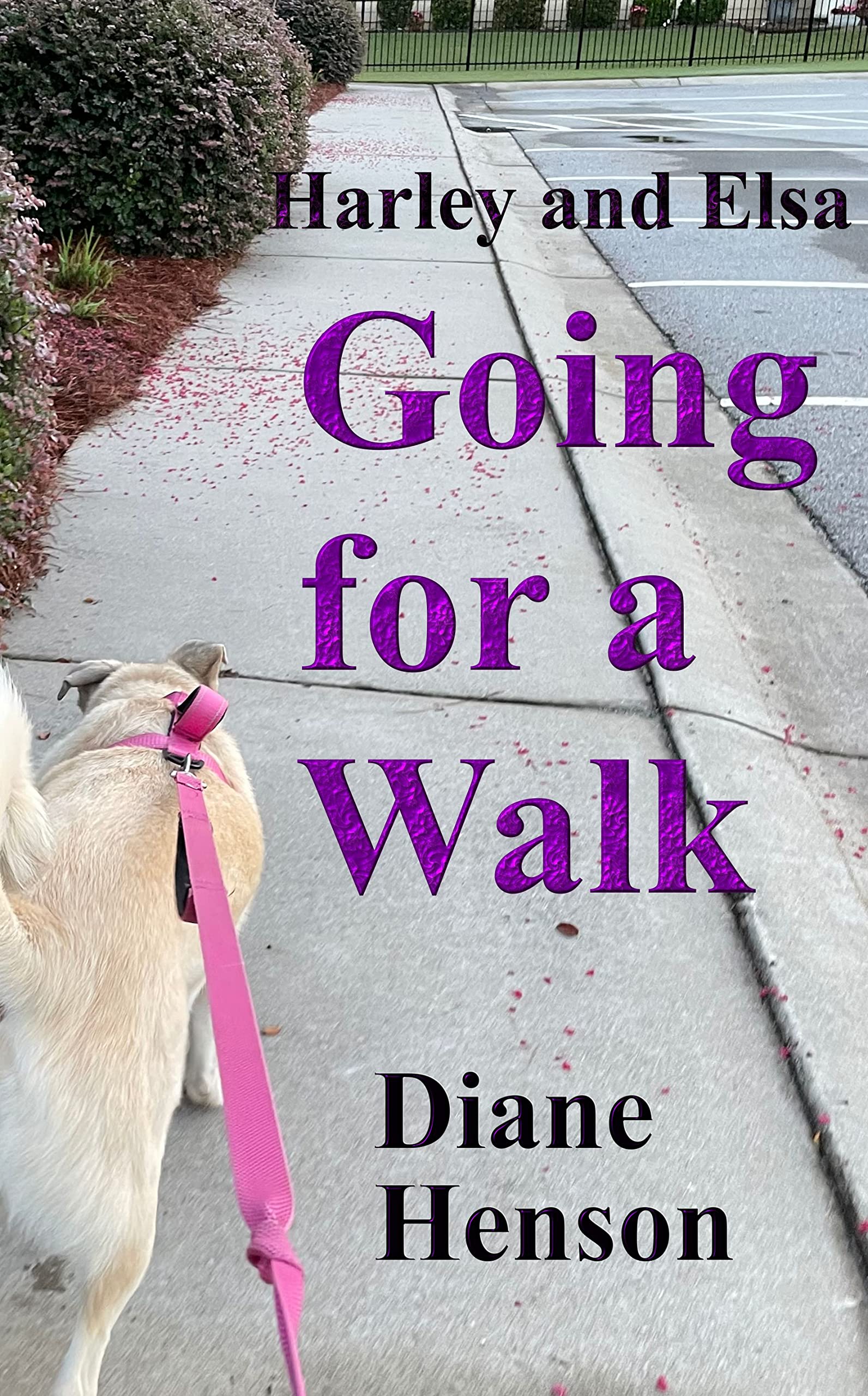 Going for a Walk: Color Edition by Diane Henson | Goodreads