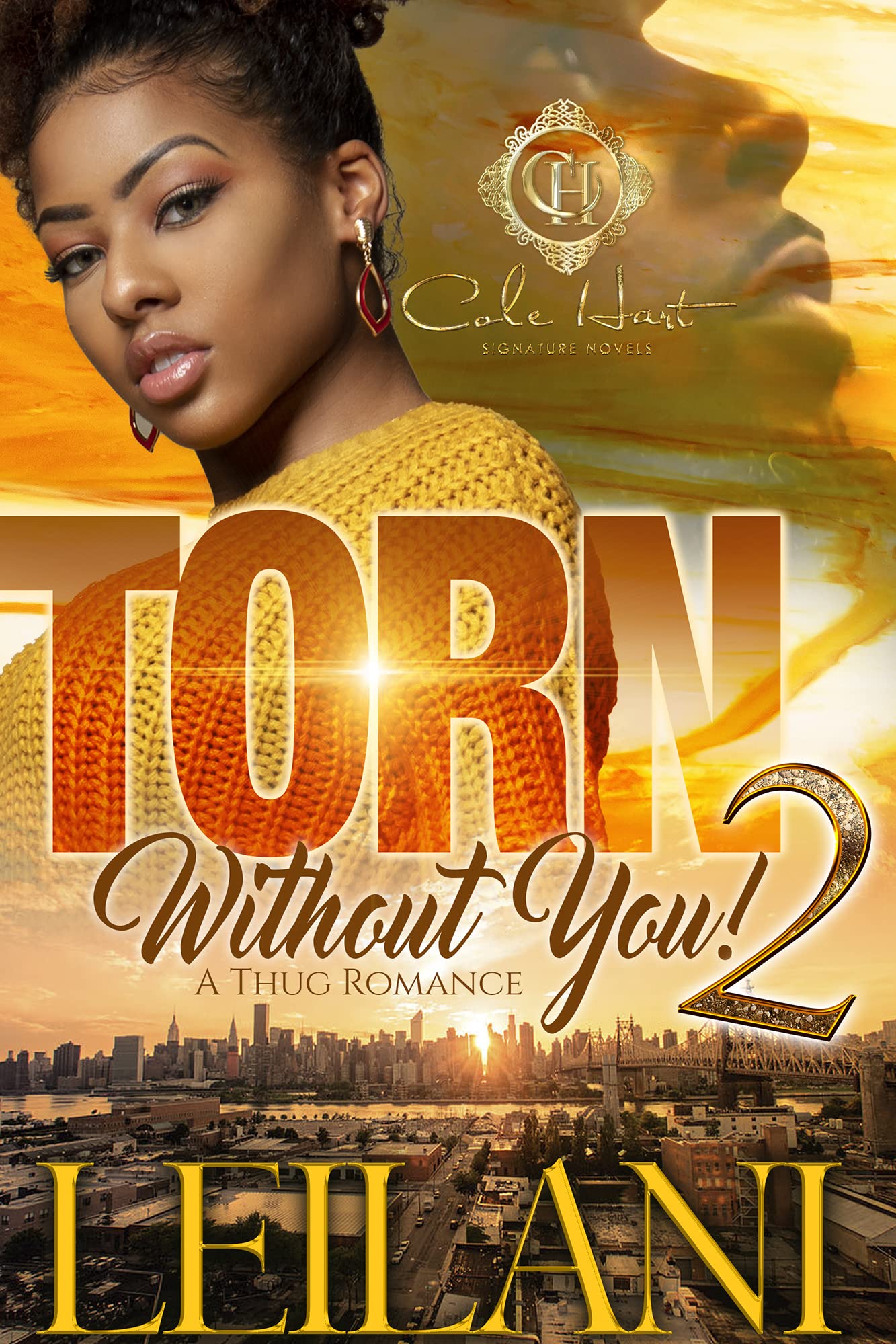 Torn Without You 2: A Thug Romance Finale by LEILANI | Goodreads