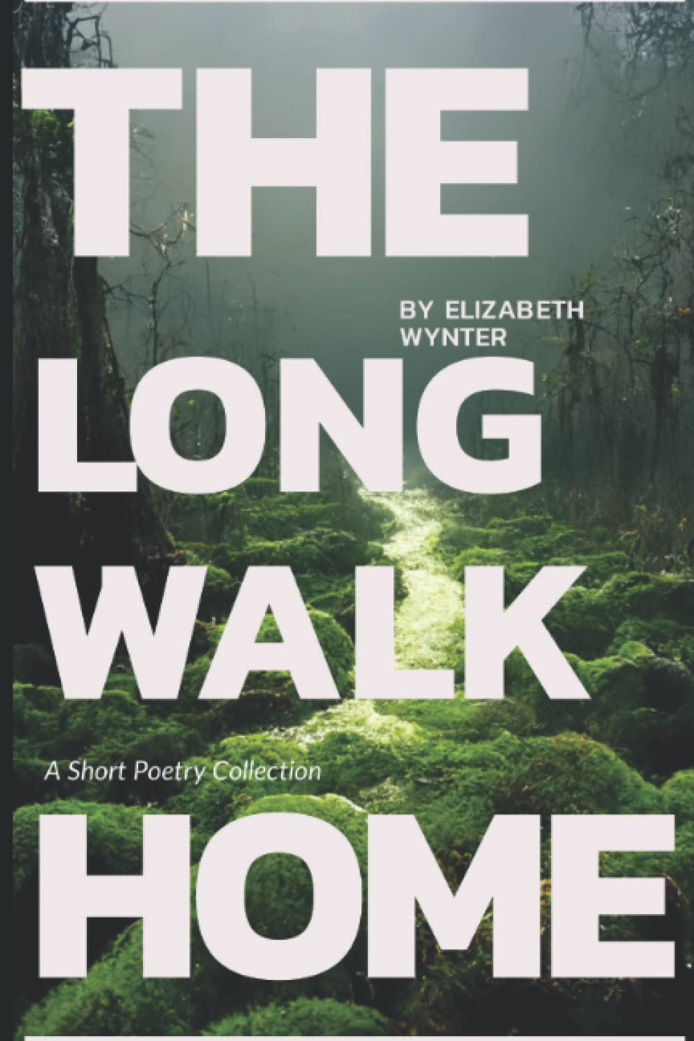 The Long Walk Back Home by Elizabeth Wynter | Goodreads