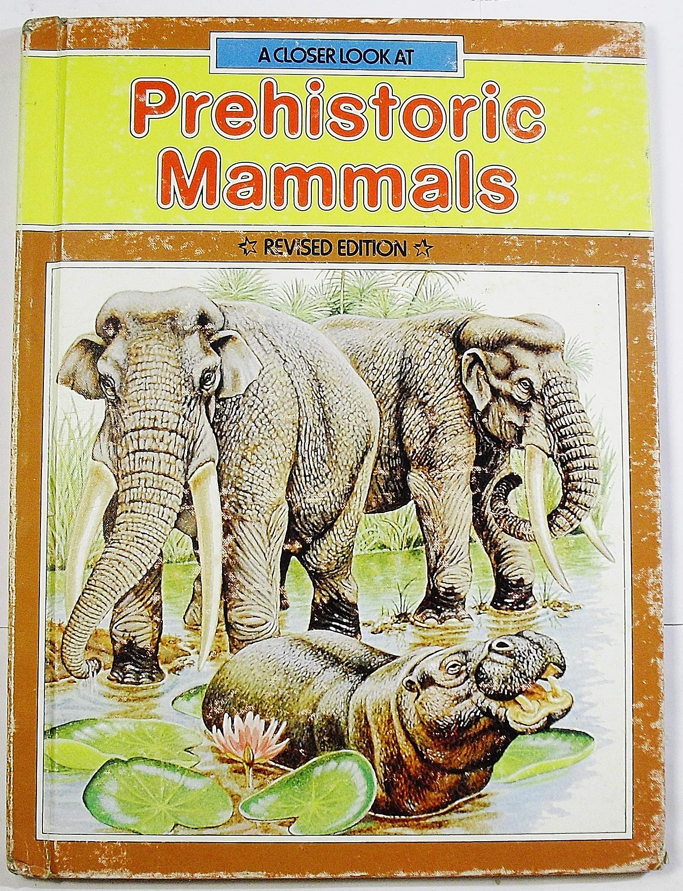 Prehistoric Mammals (A Closer Look at) by Elizabeth Strachan | Goodreads