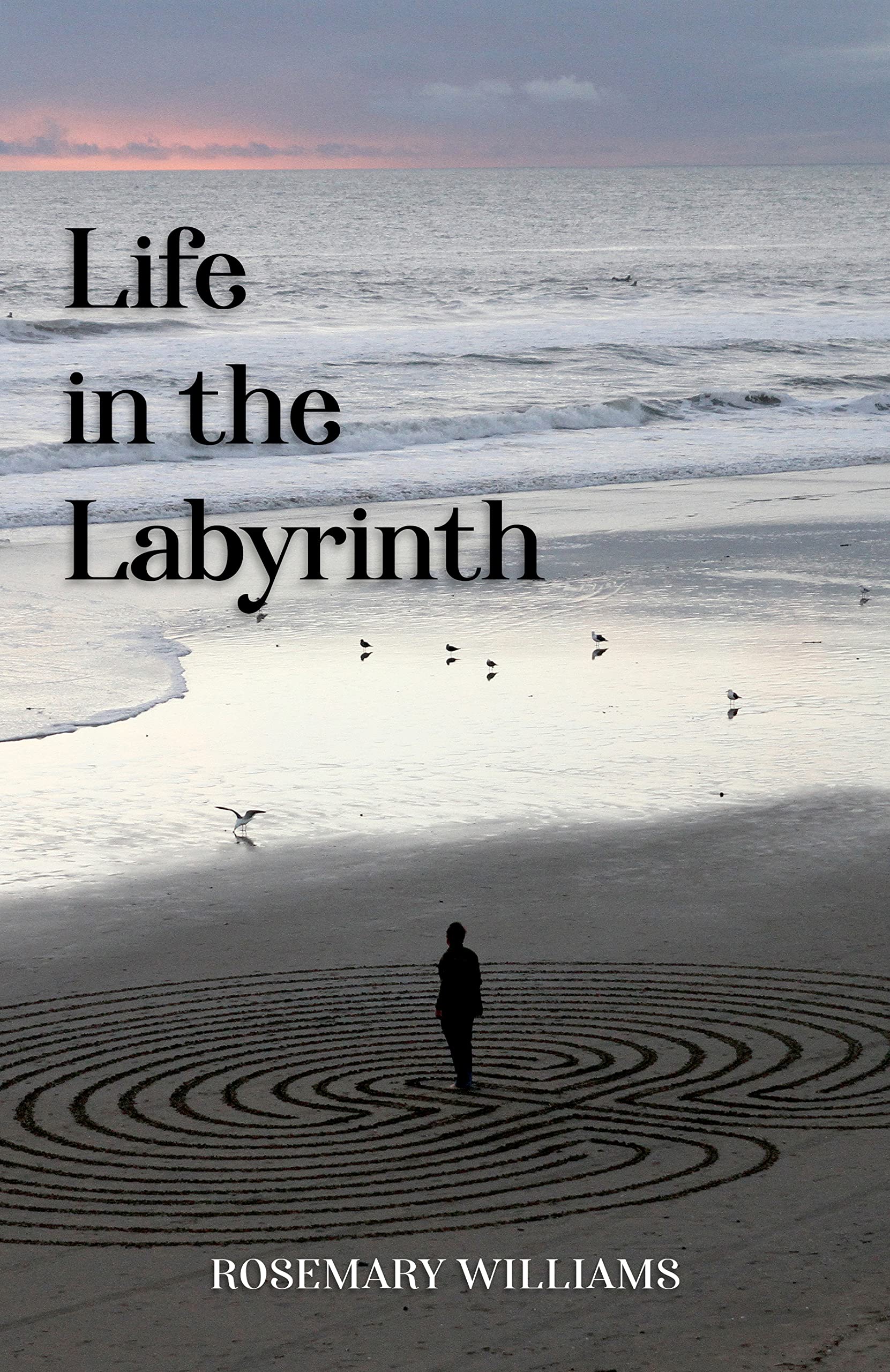 Life in the Labyrinth by Rosemary Williams | Goodreads