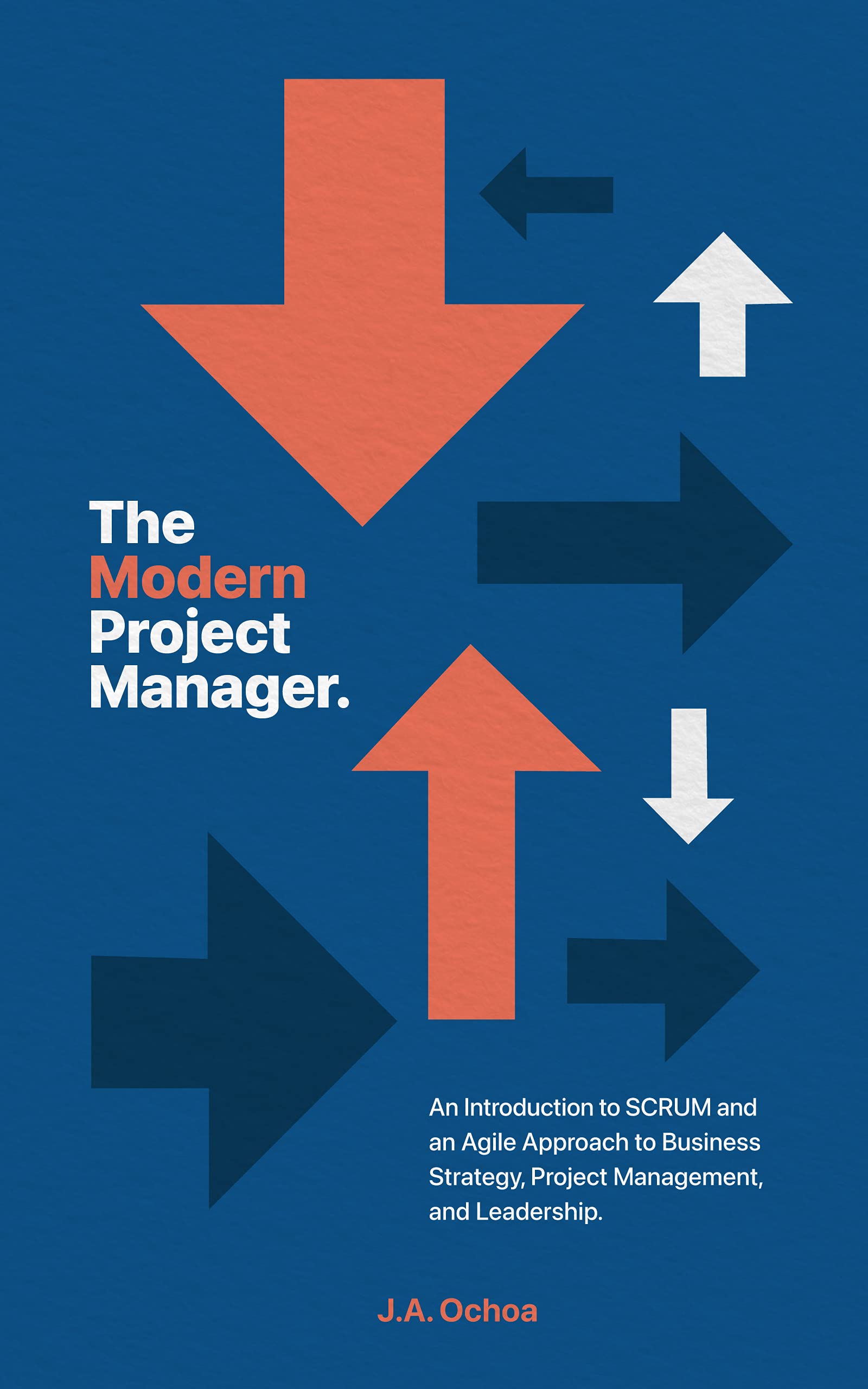 The Modern Project Manager: An Introduction to SCRUM and an Agile ...